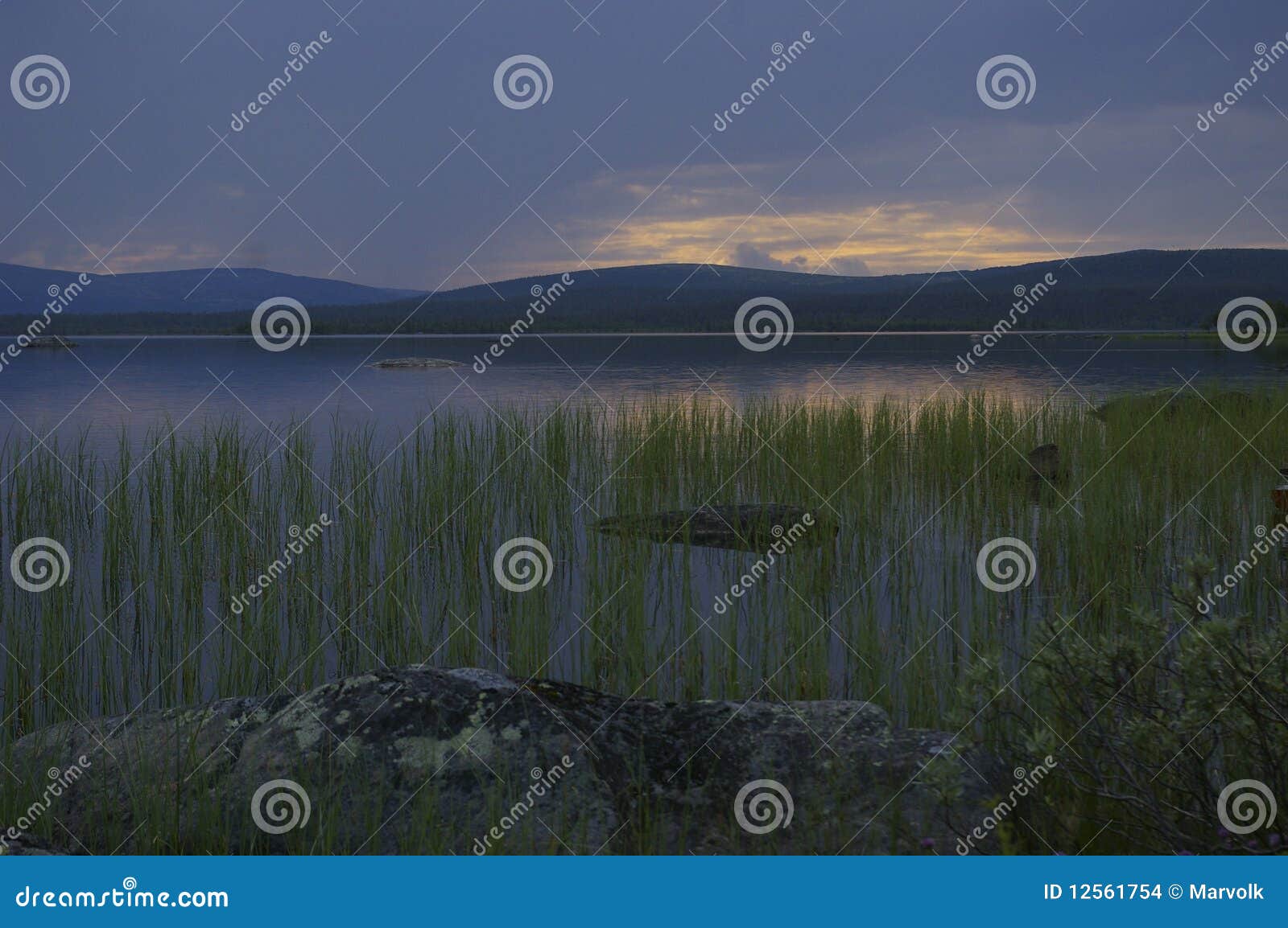 Northern lake stock photo. Image of summer, peninsula - 12561754