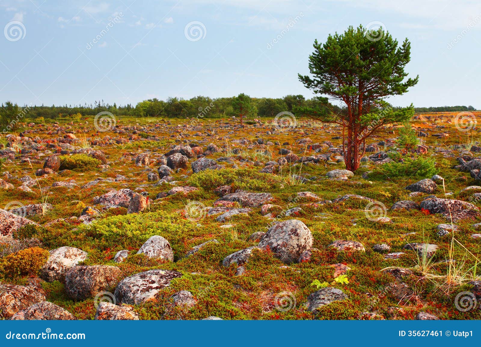 Northern landscape stock image. Image of stone, scene - 35627461