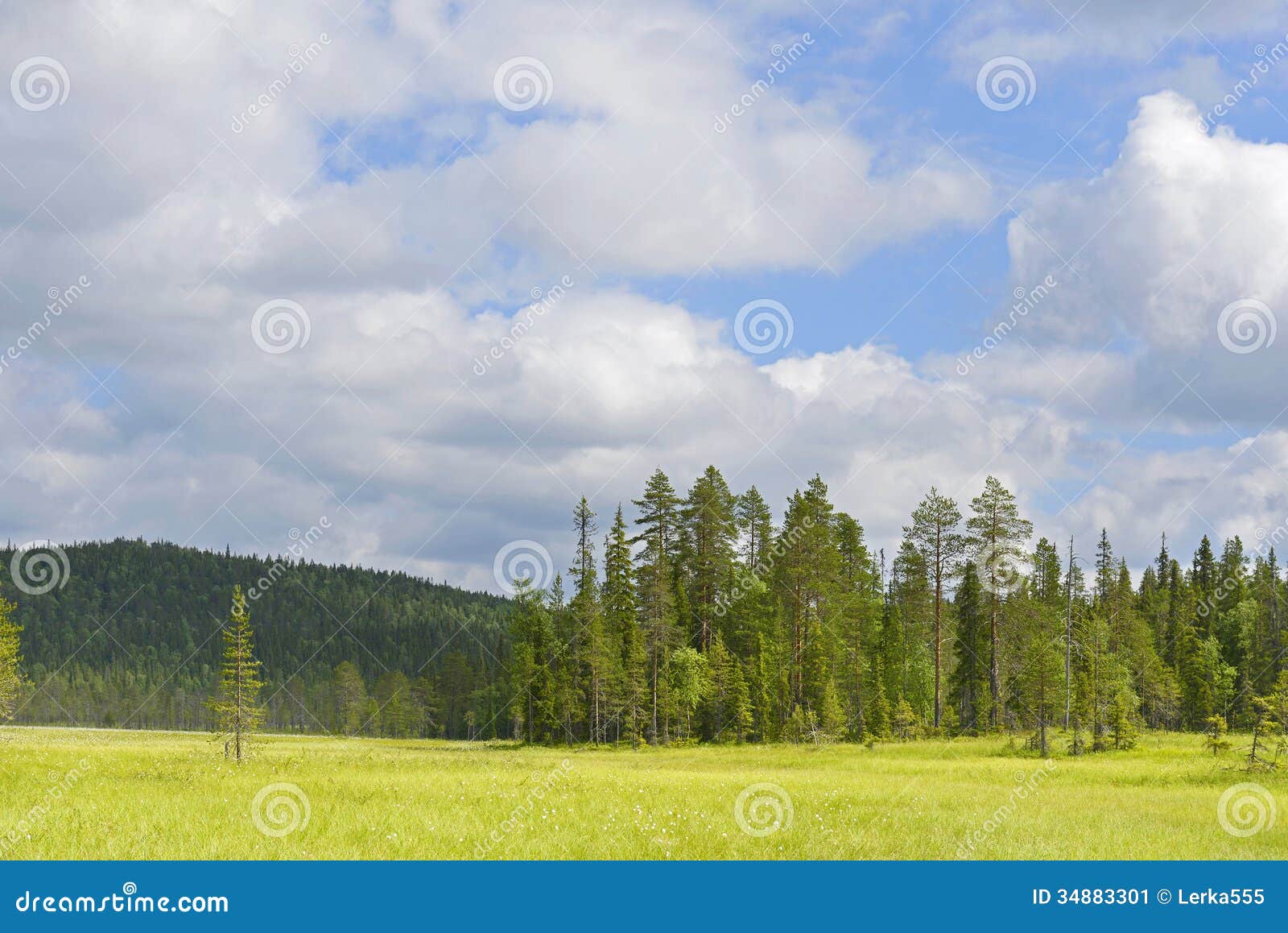 Northern Landscape with Marsh Stock Image - Image of scandinavia, north ...