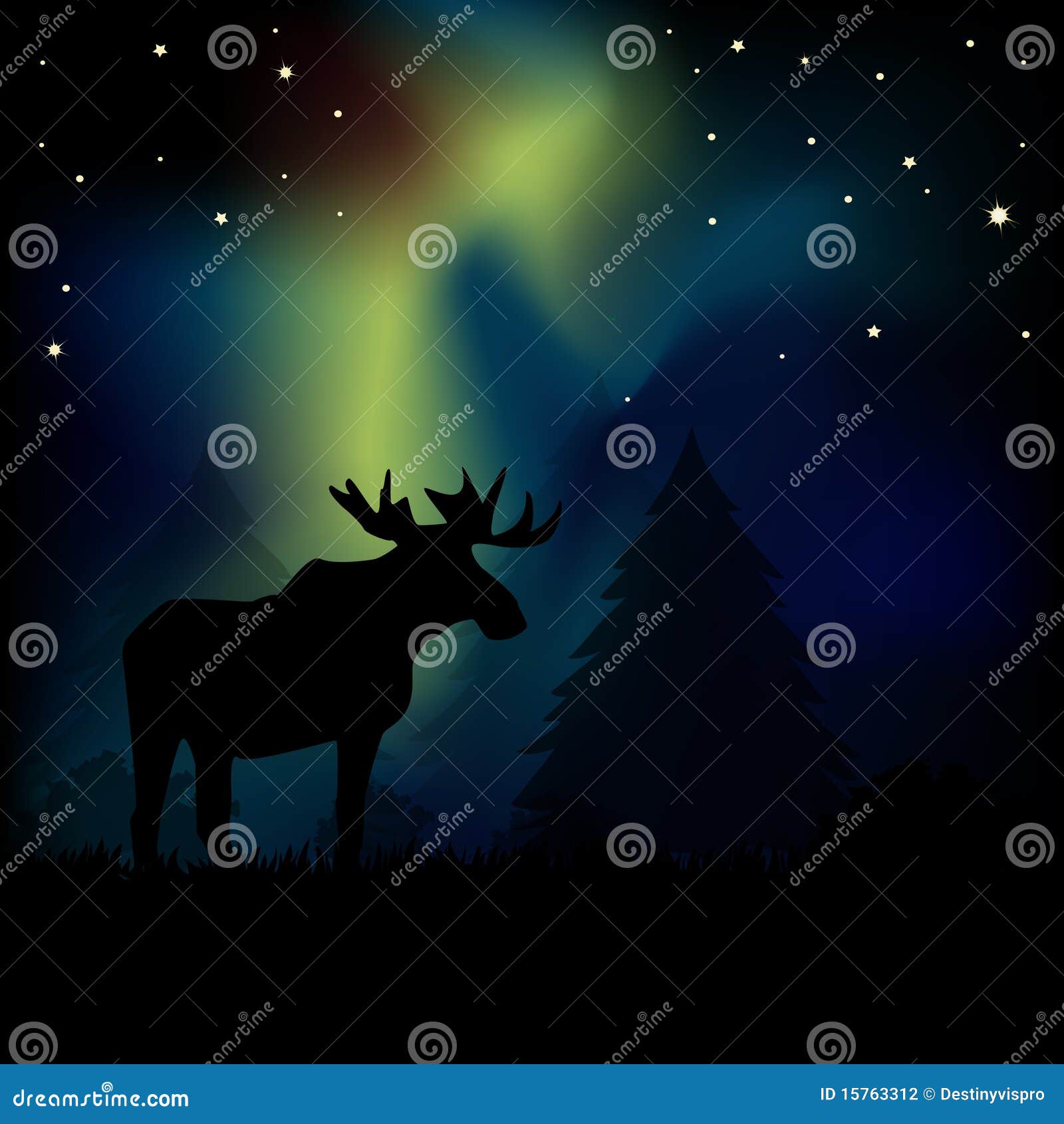 Northern Lights Moose stock illustration. Illustration of lights - 15763312