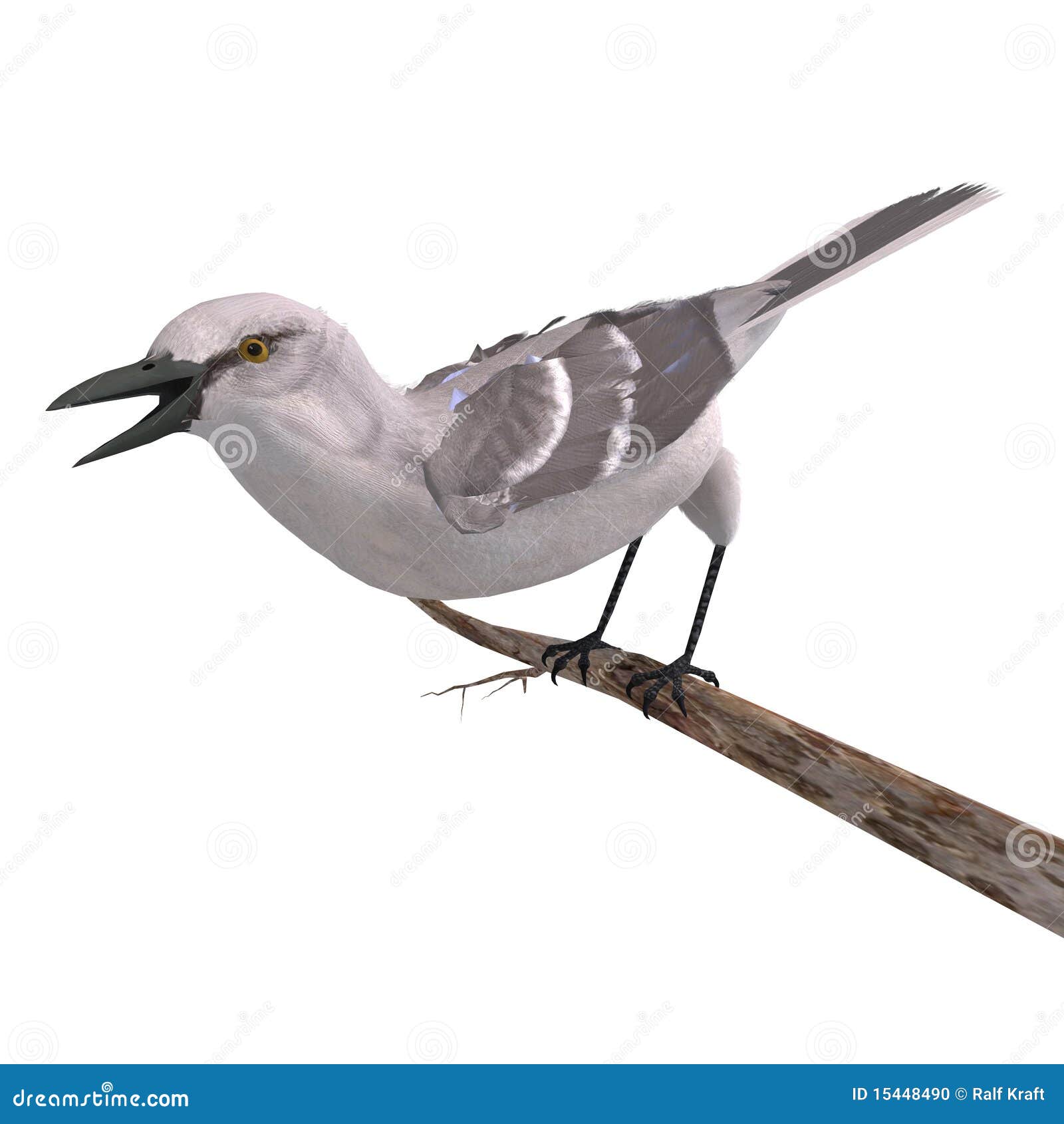 Mockingbird Cartoons, Illustrations & Vector Stock Images - 214 ...