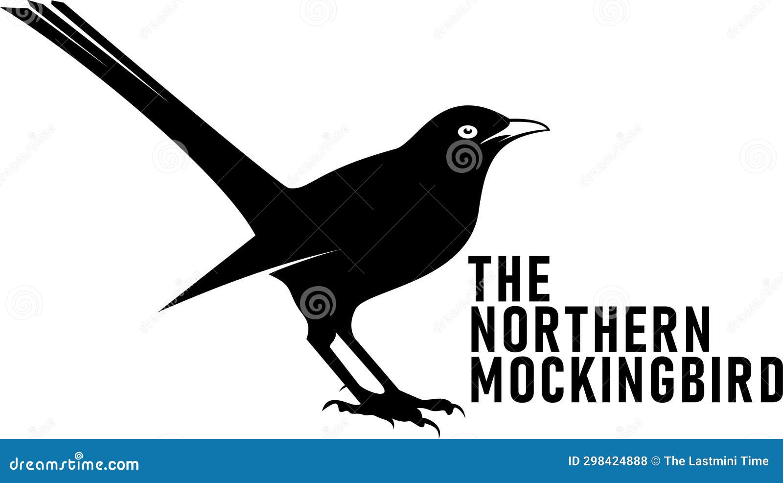 The Northern Mockingbird Symbol of Texas Independence Day VECTOR Stock ...
