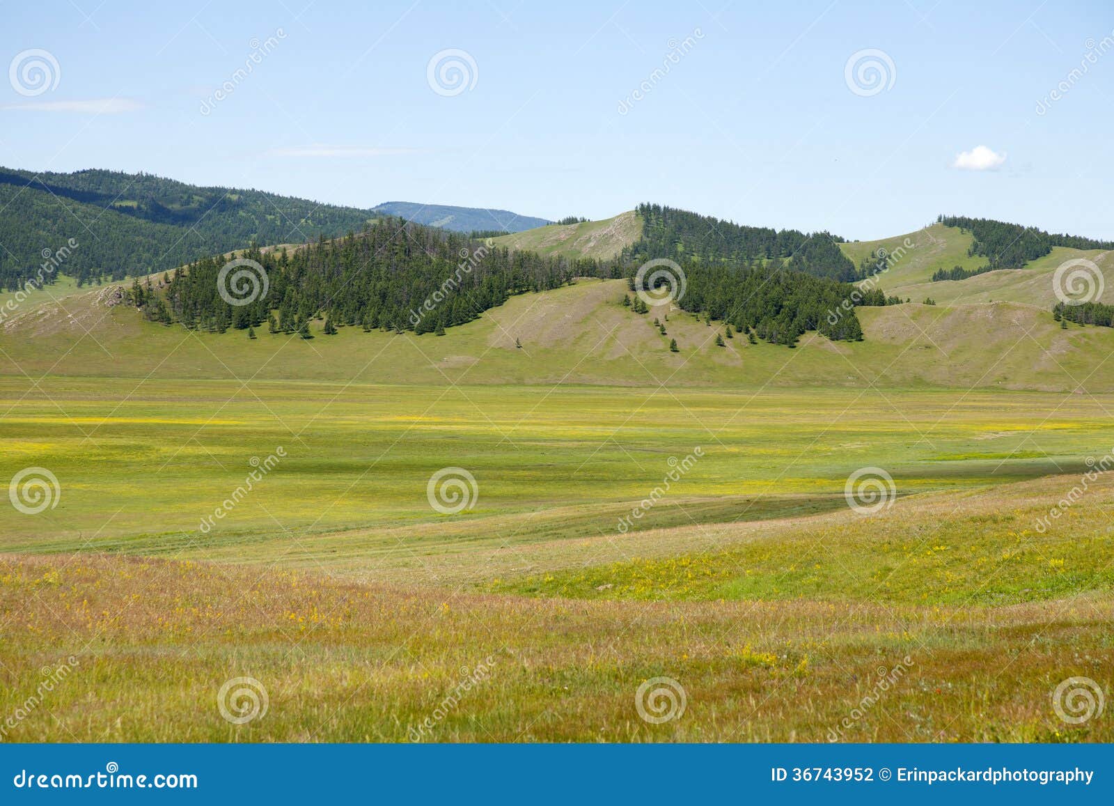 Northern Mongolian Forests and Steppes Stock Photo - Image of north ...