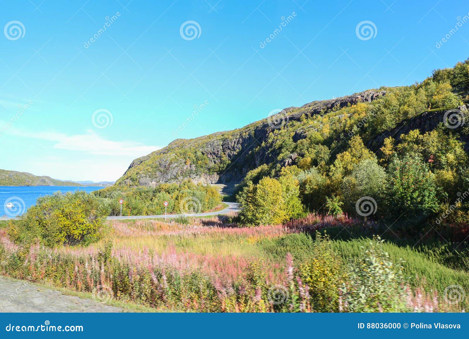 In The Northern Mountains Royalty-Free Stock Image | CartoonDealer.com ...