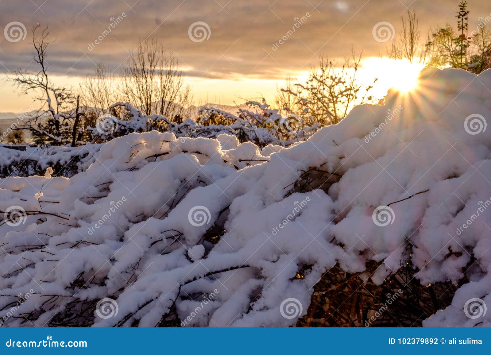 Northern Norway stock photo. Image of high, tourism - 102379892