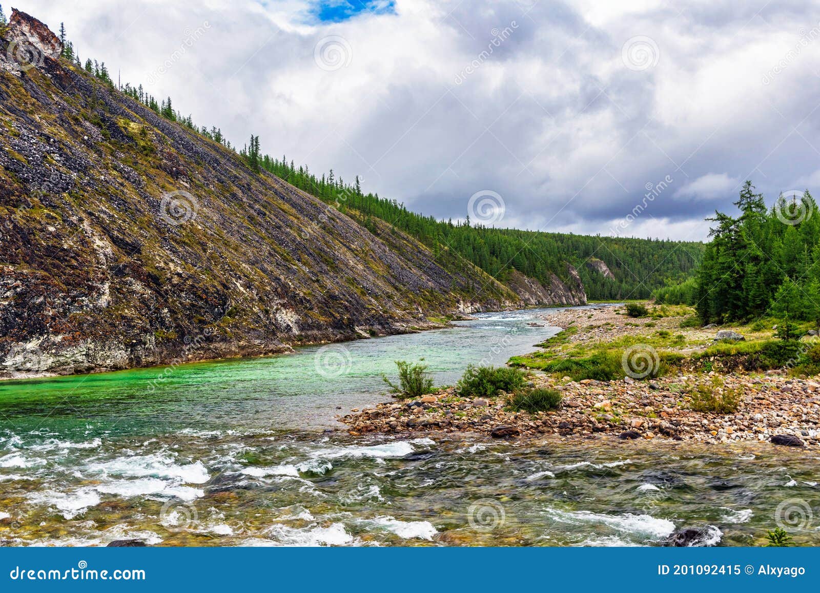Northern River Flowing among the Rocks in a Forest Area Stock Image ...