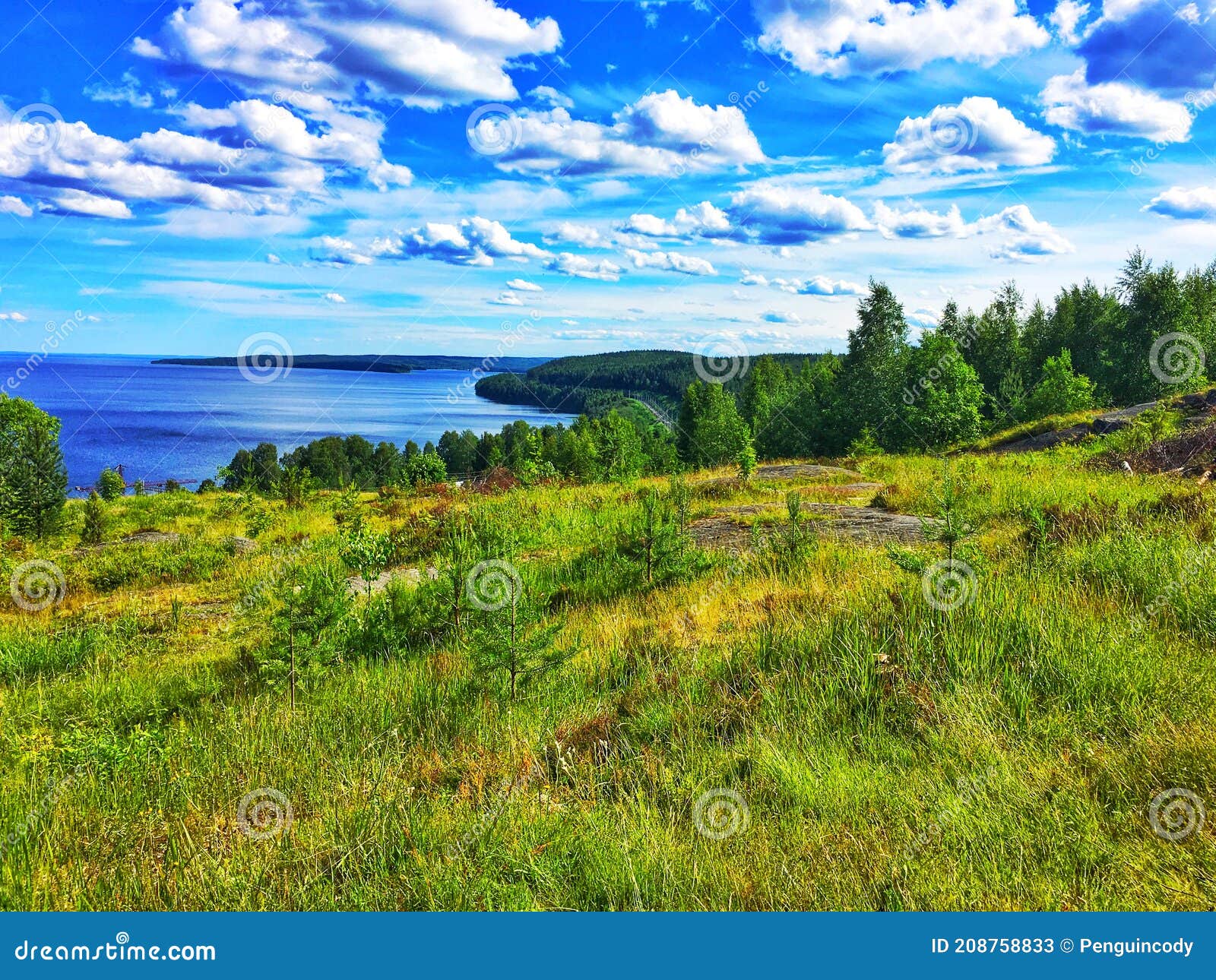 Northern Russian Landscape in Summer Stock Image - Image of landscape ...