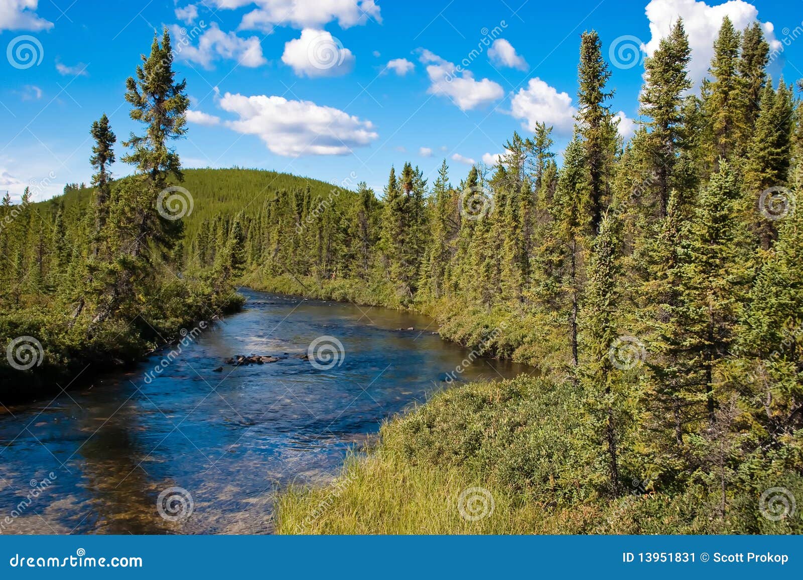 Northern Saskatchewan Creek Stock Image - Image of reflection ...
