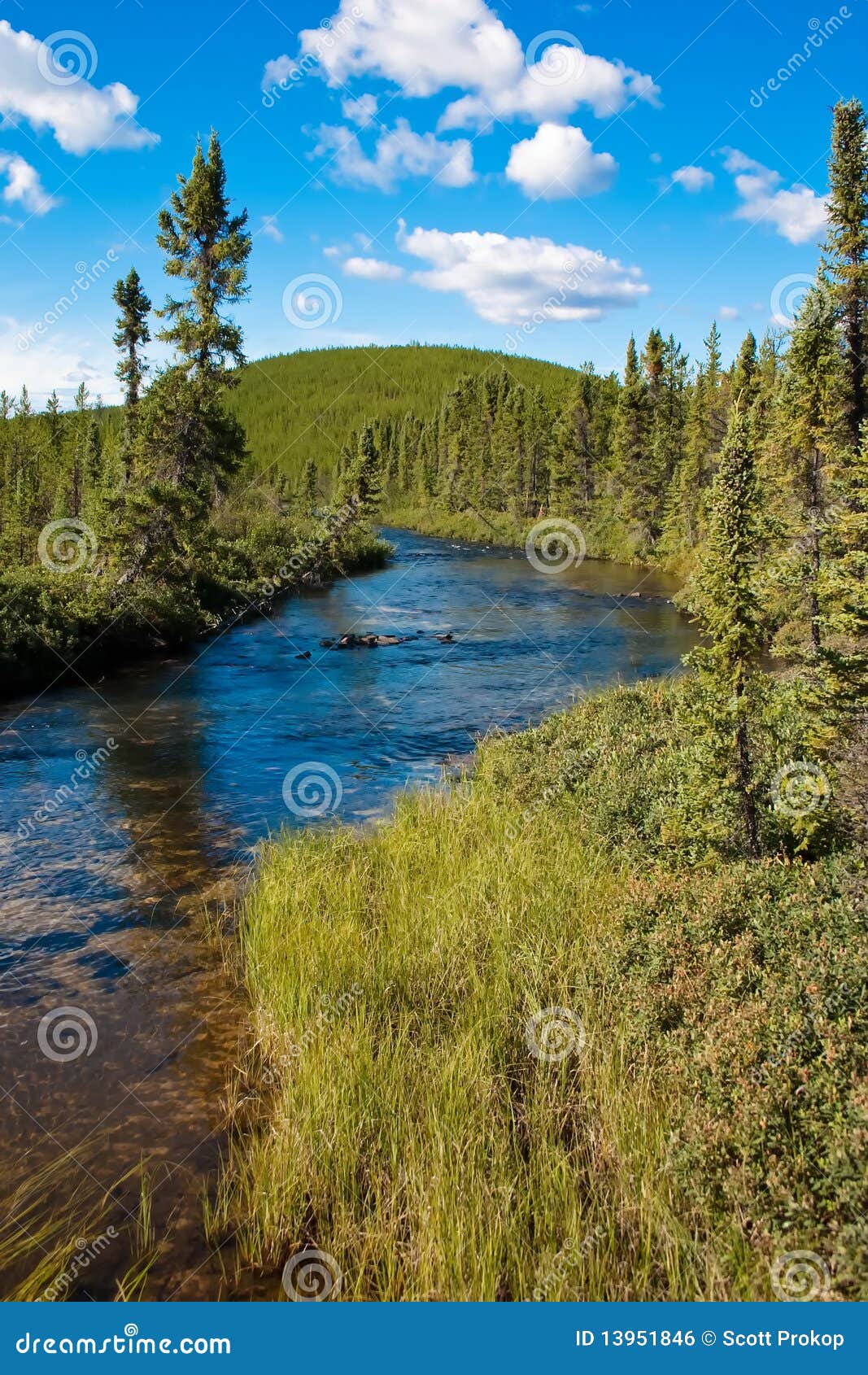 Northern Saskatchewan Creek Stock Photo - Image of peace, countryside ...