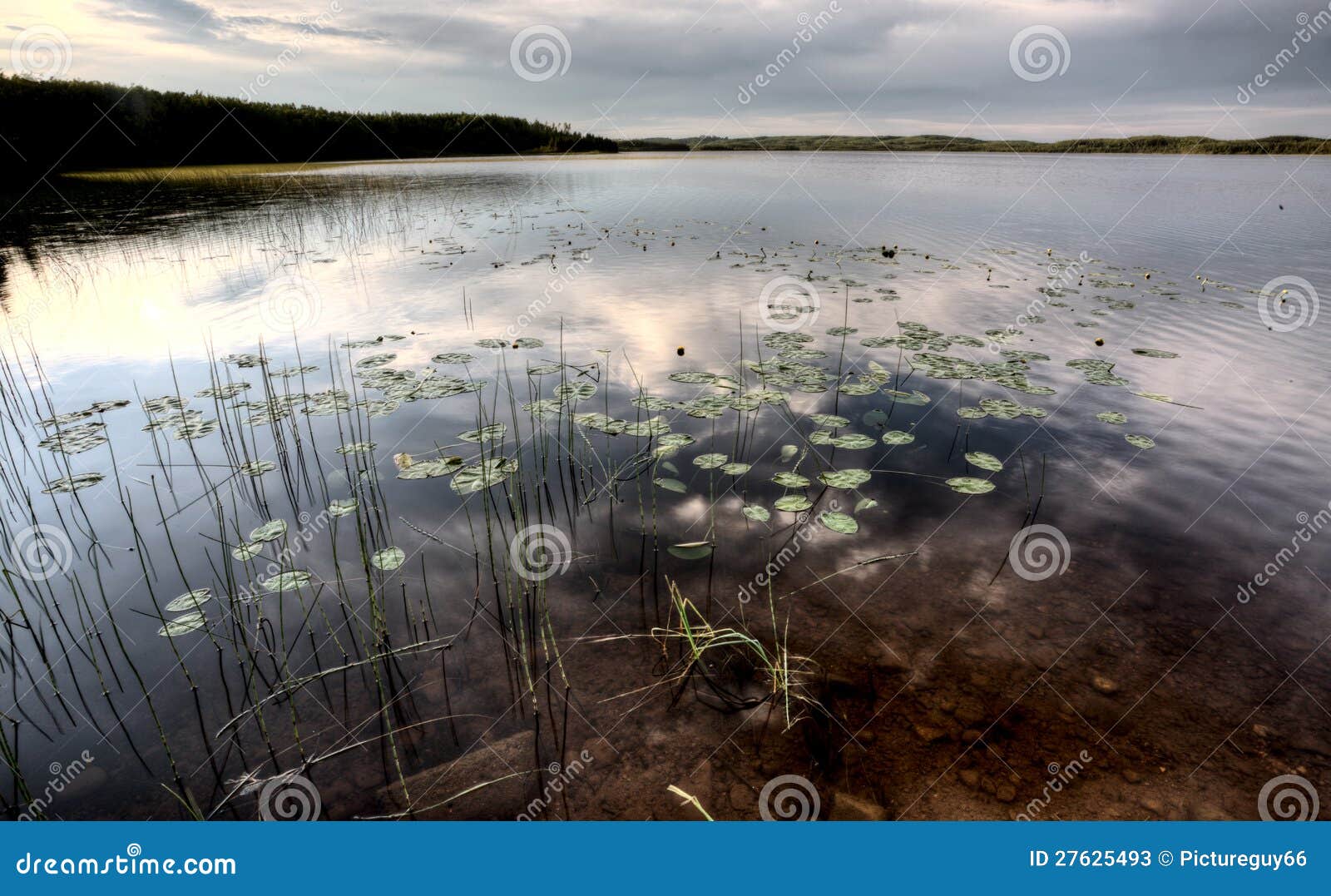 Northern Saskatchewan Lake stock image. Image of canada - 27625493