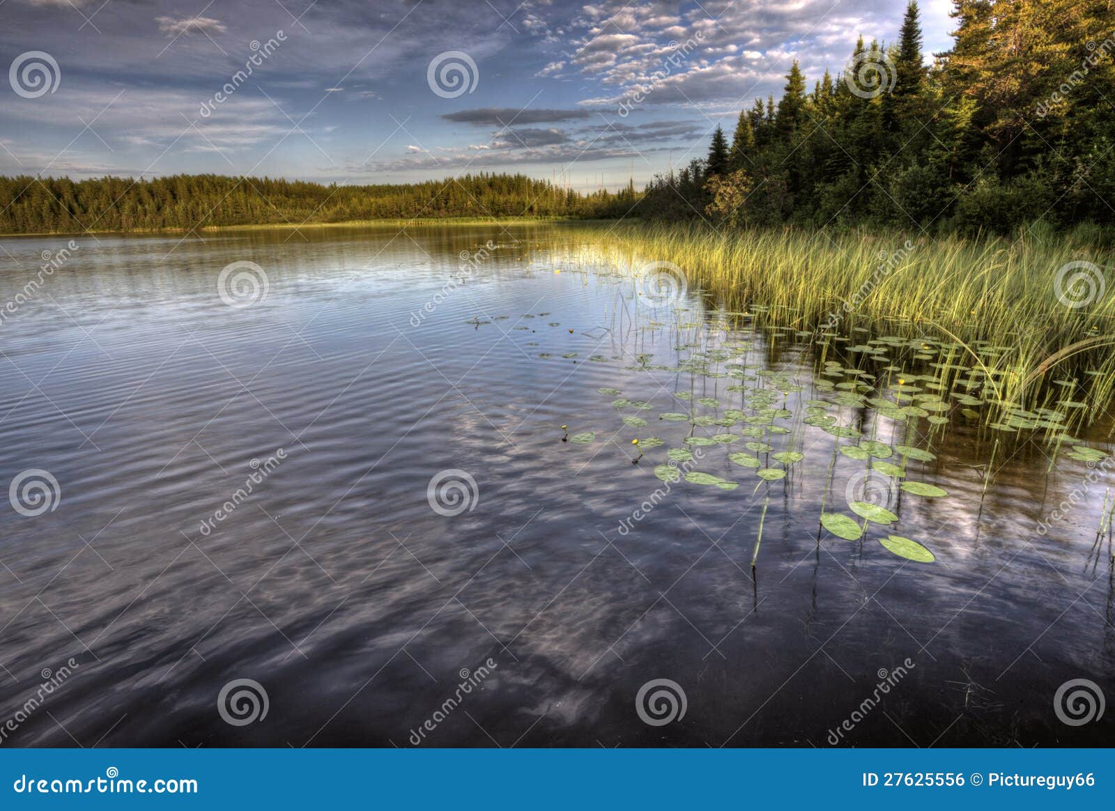 Northern Saskatchewan Lake stock photo. Image of nature - 27625556