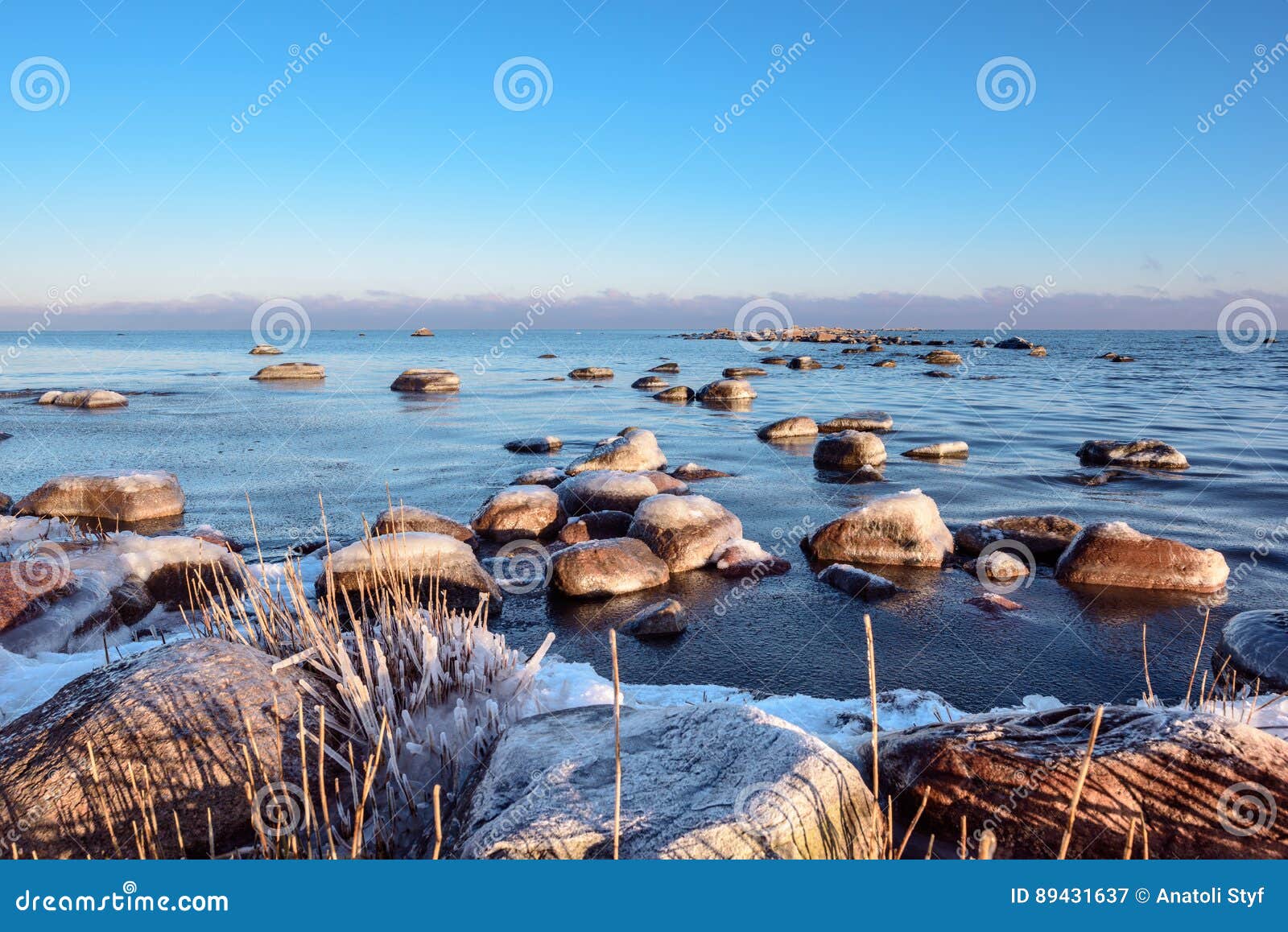 Northern shore in spring stock image. Image of shoreline - 89431637