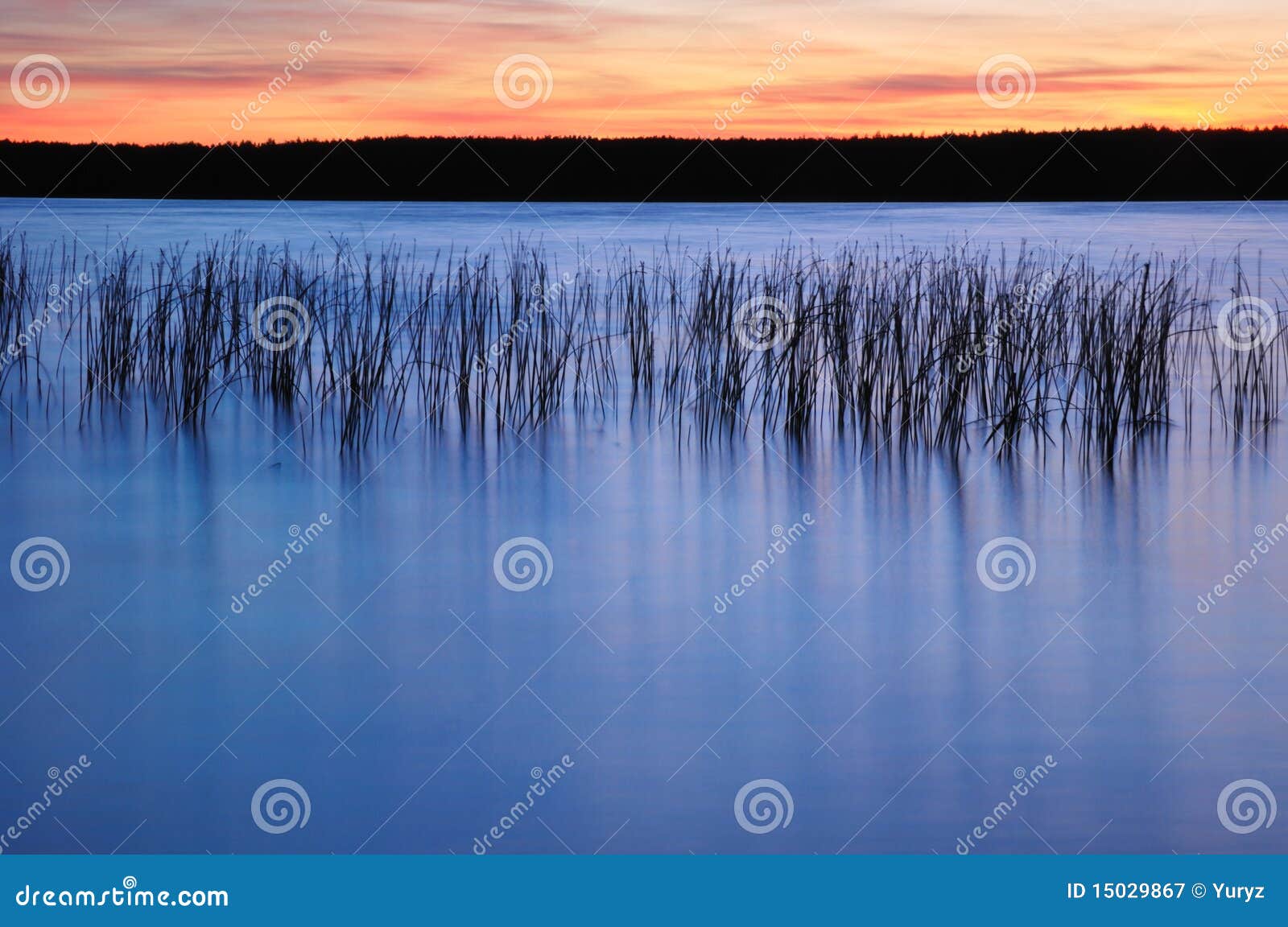 Northern summer stock image. Image of north, nature, blue - 15029867