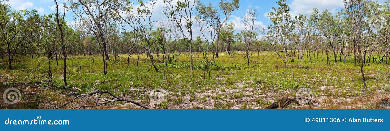 Northern Territory Bush Panorama Stock Photo - Image of darwin ...