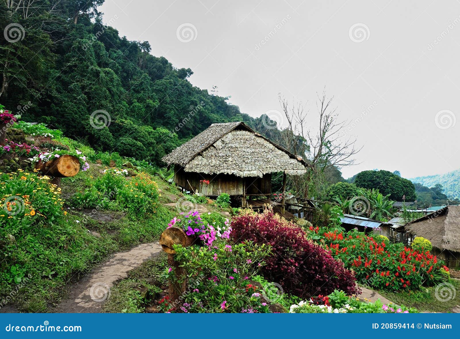 Northern Thailand Countryside Stock Photo - Image of bamboo, hmong ...