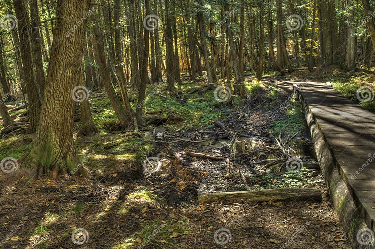 Northwoods fall two stock image. Image of waterfall, michigan - 27056223