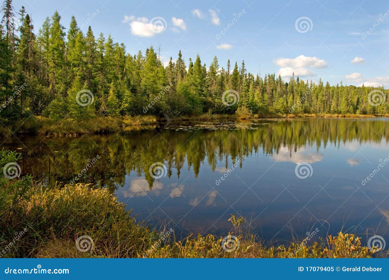 Northwoods Lake stock image. Image of pond, outdoors - 17079405