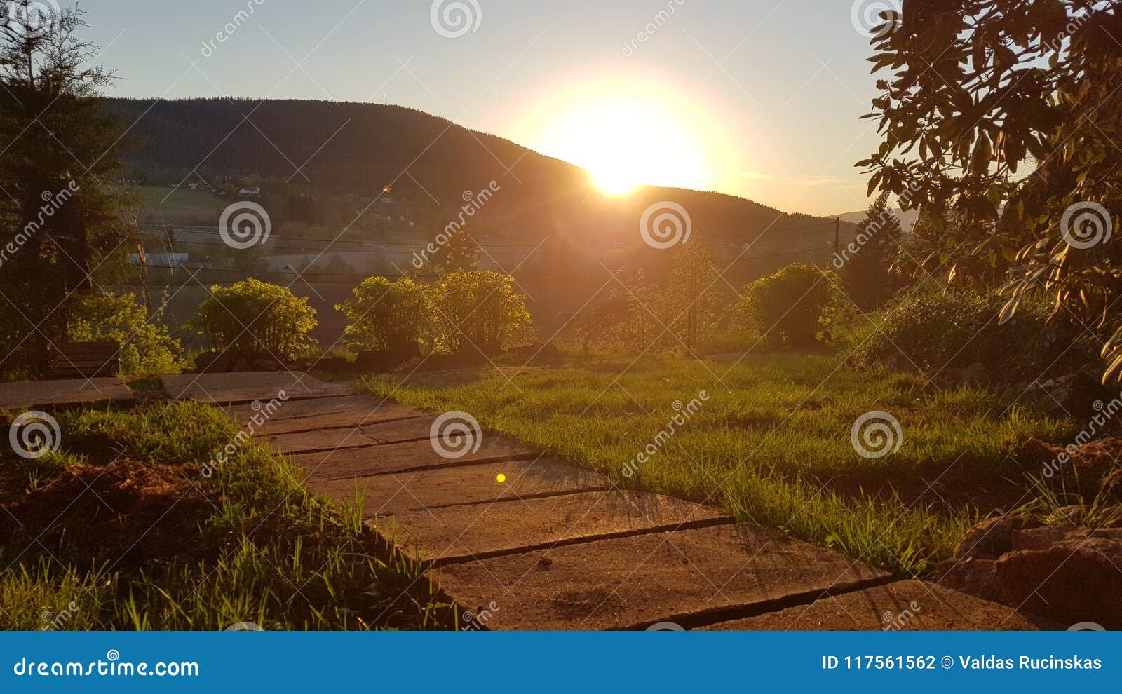 Norway chill evening stock photo. Image of sunset, nature - 117561562