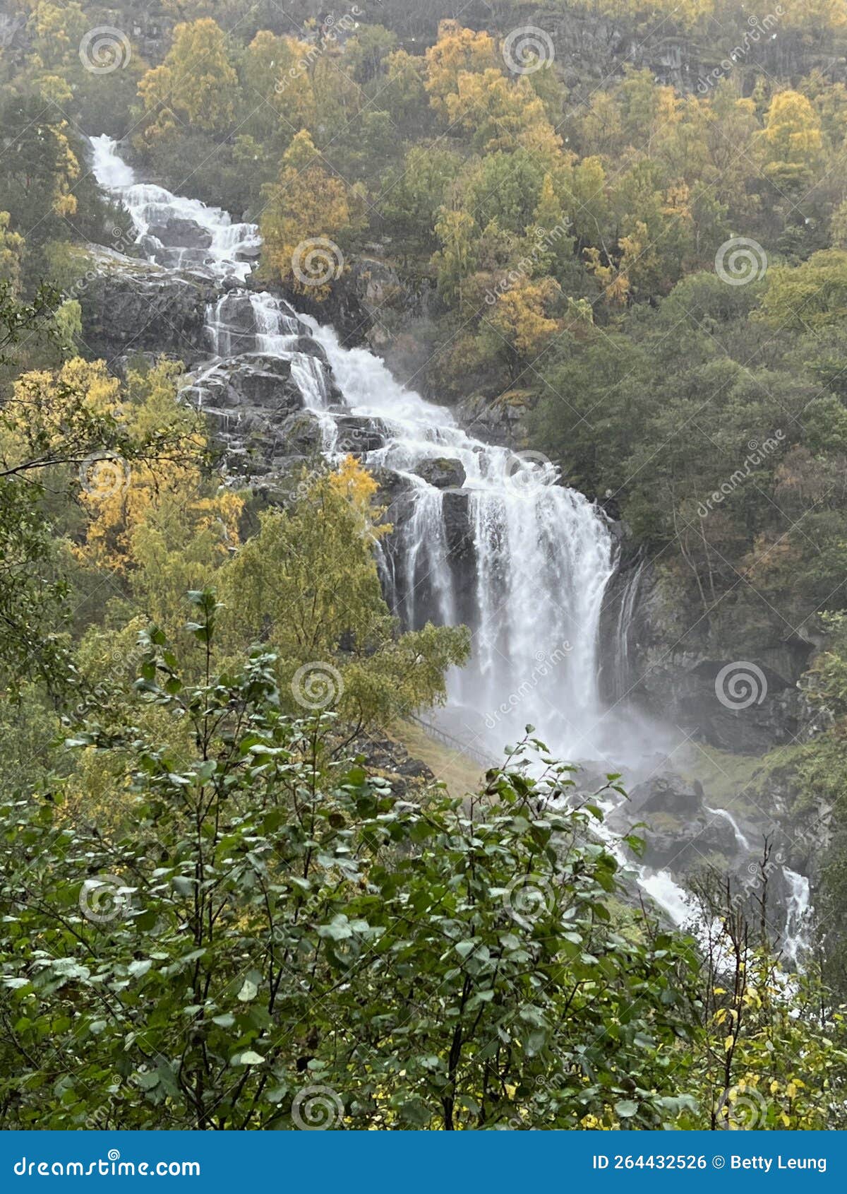 Large Waterfalls Flowing Down To the Fjords in Autumn in Norway Stock ...