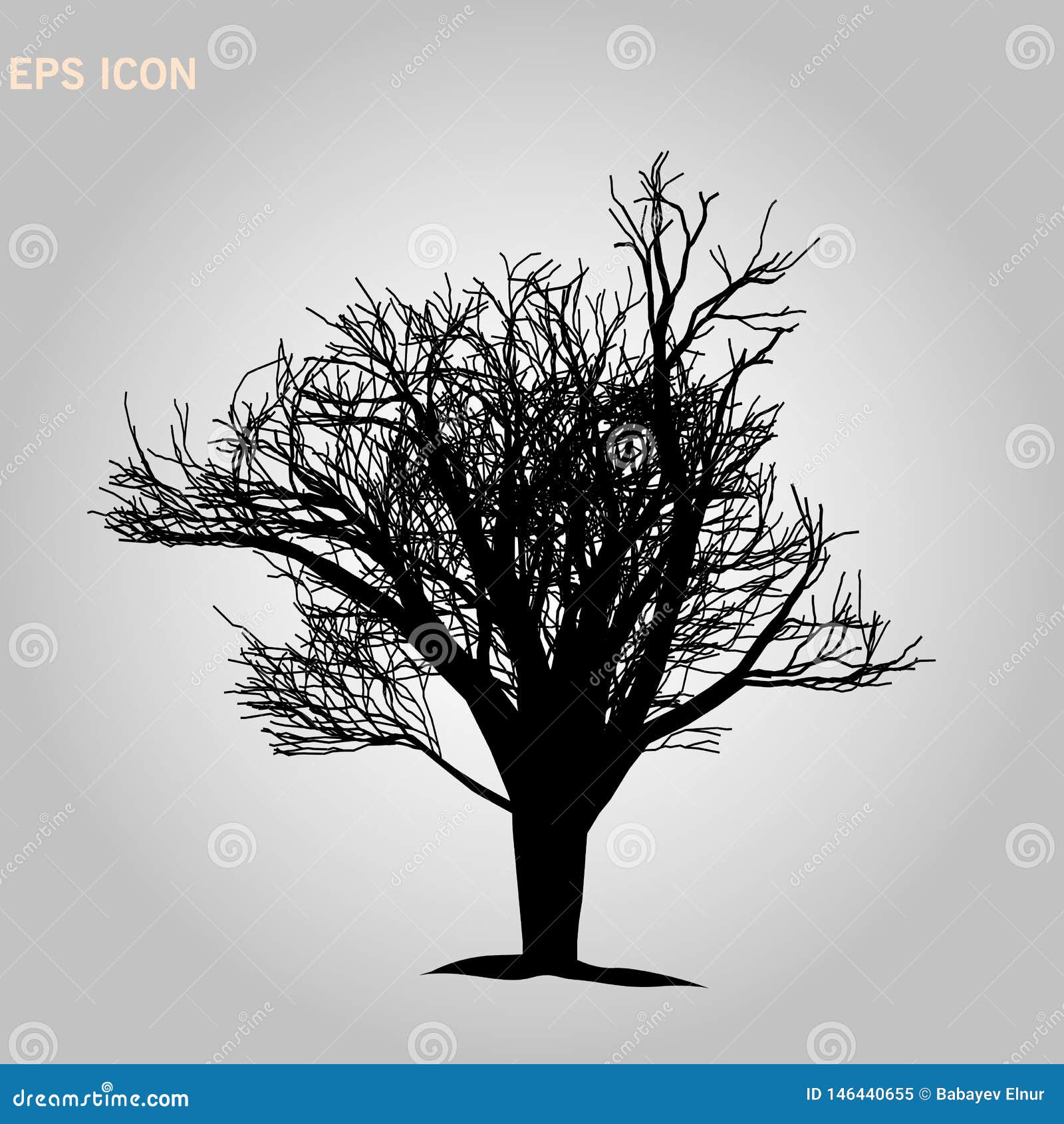 Norway Maple Architectonics. the Structure of the Tree Branches and ...