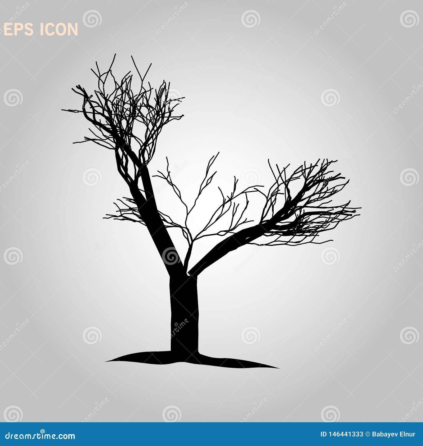 Architectonics Of The Crown Of Norway Maple. The Structure Of The Tree ...