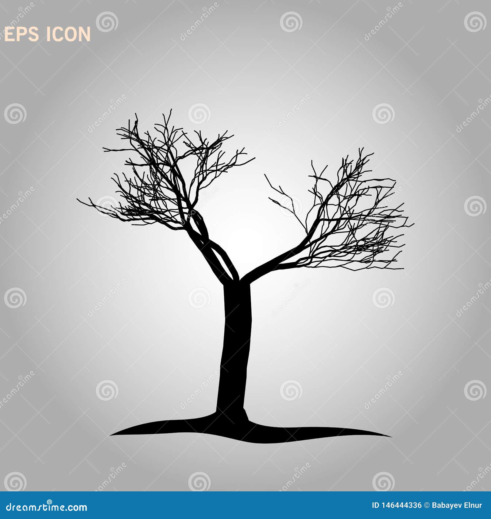 Architectonics Of The Crown Of Norway Maple. The Structure Of The Tree ...