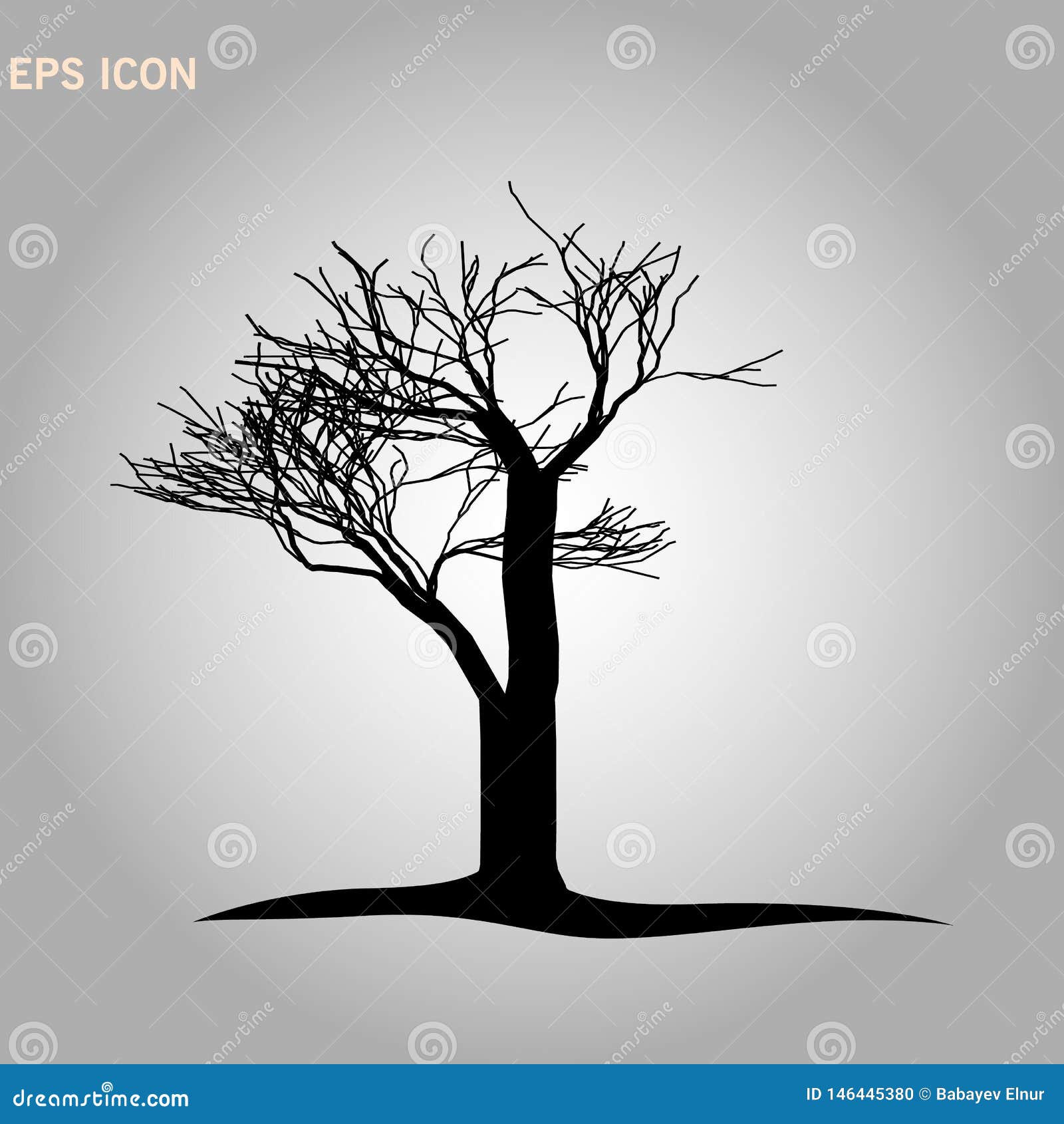 Architectonics Of The Crown Of Norway Maple. The Structure Of The Tree ...