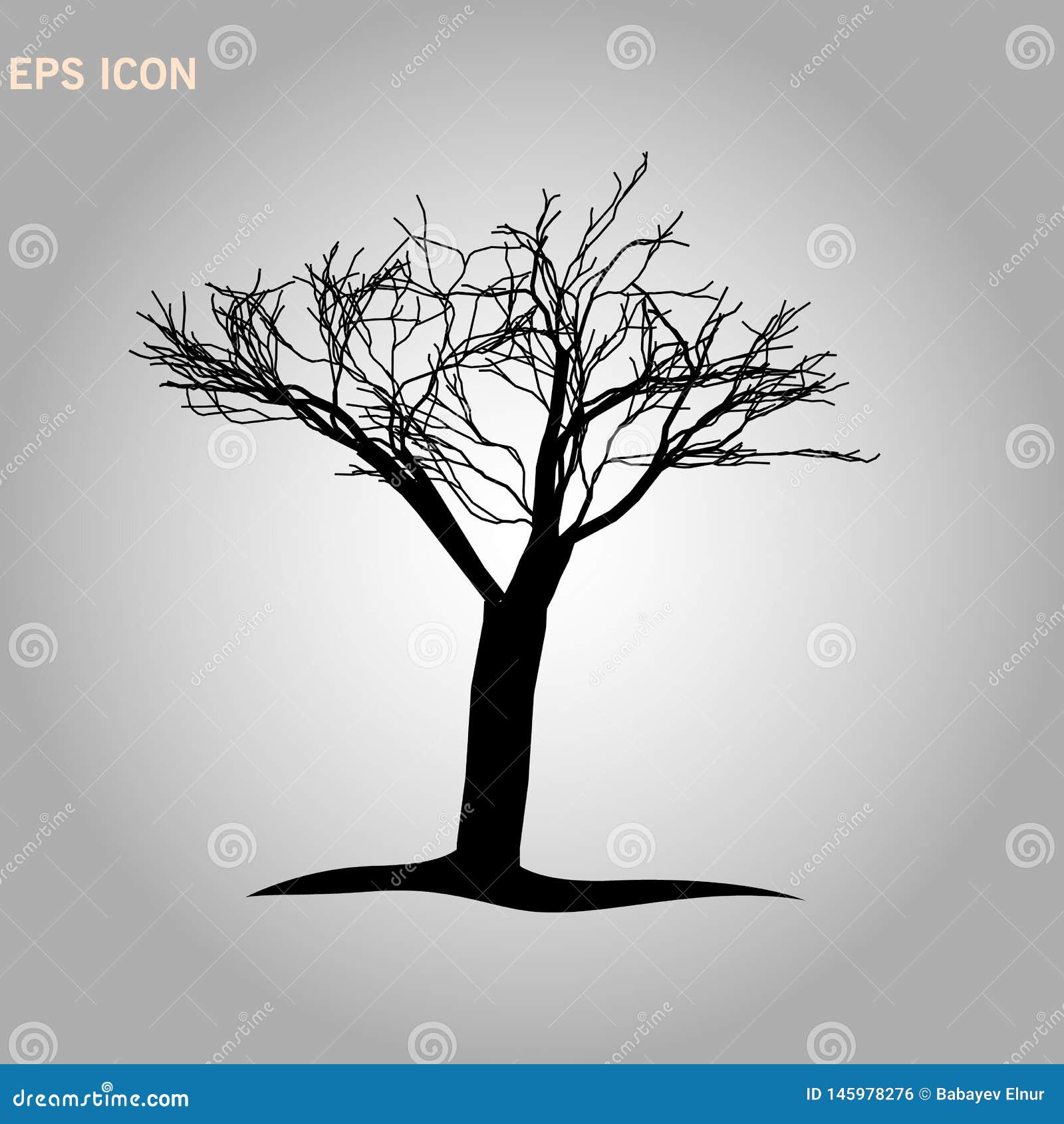 Architectonics Of The Crown Of Norway Maple. The Structure Of The Tree ...