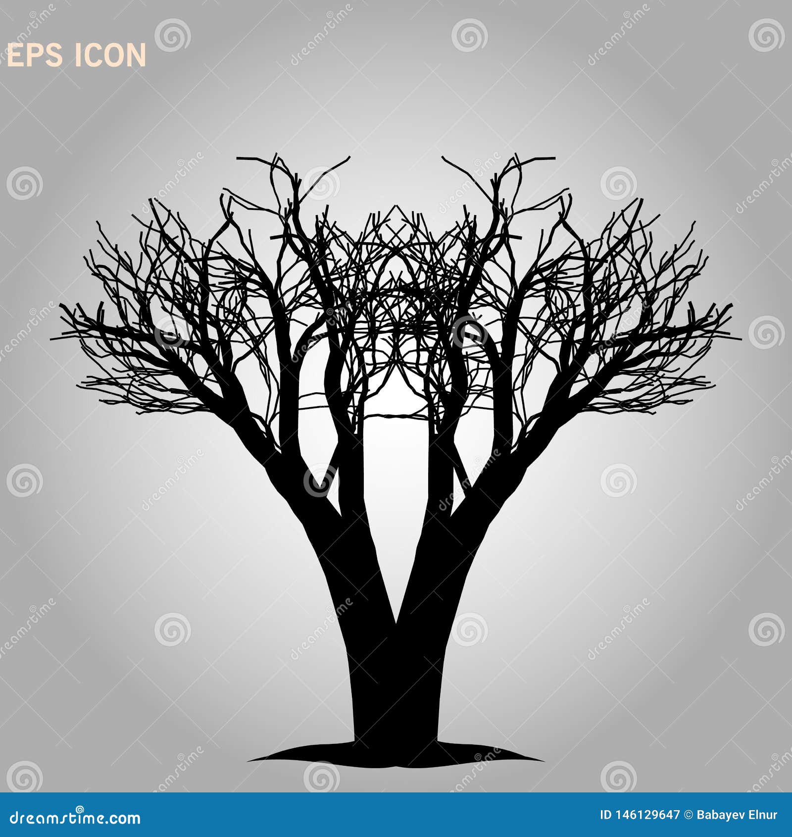 Norway Maple Architectonics. The Structure Of The Tree Branches And ...