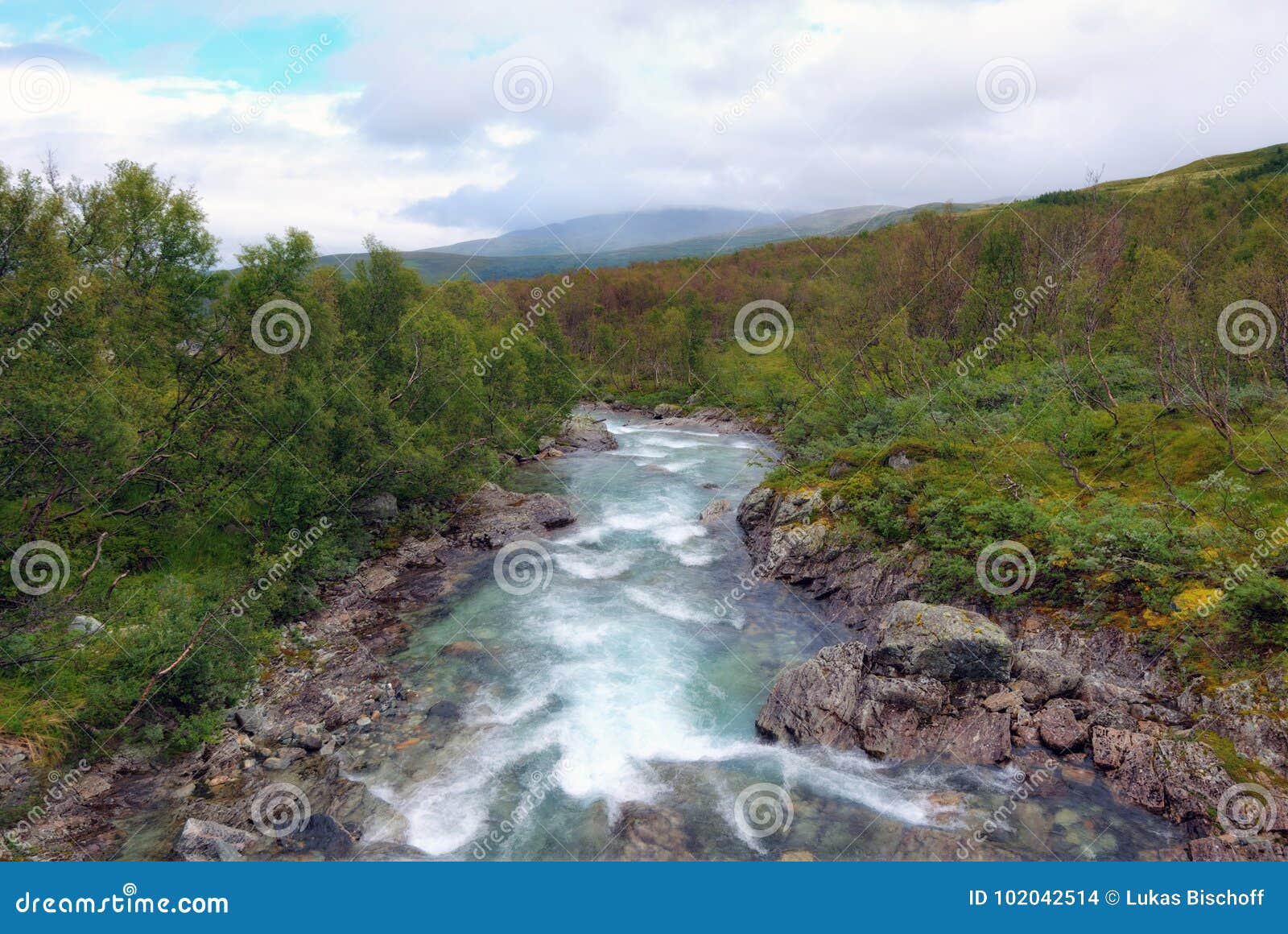Norway Mountain River stock photo. Image of beauty, forest - 102042514