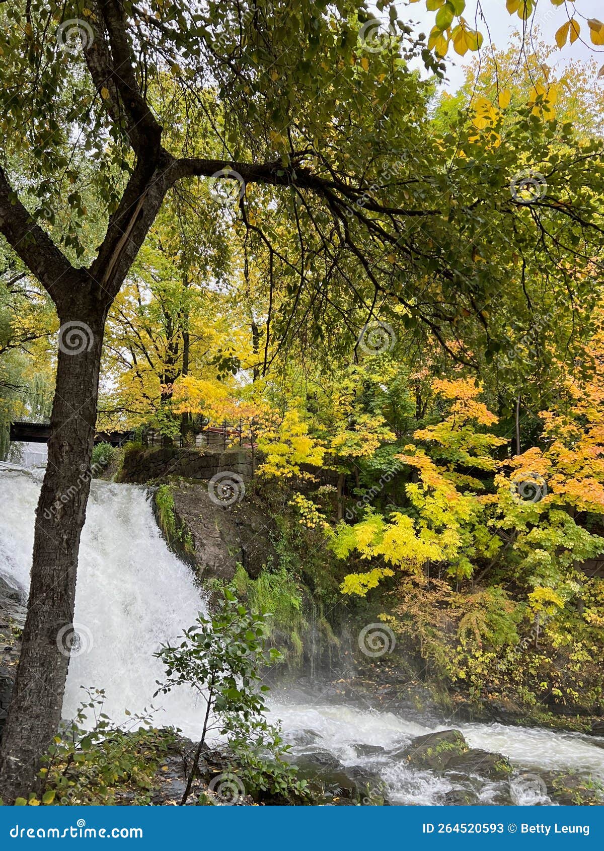 Beautiful Waterfalls with Autumn Foliage in Oslo, Norway Stock Image ...