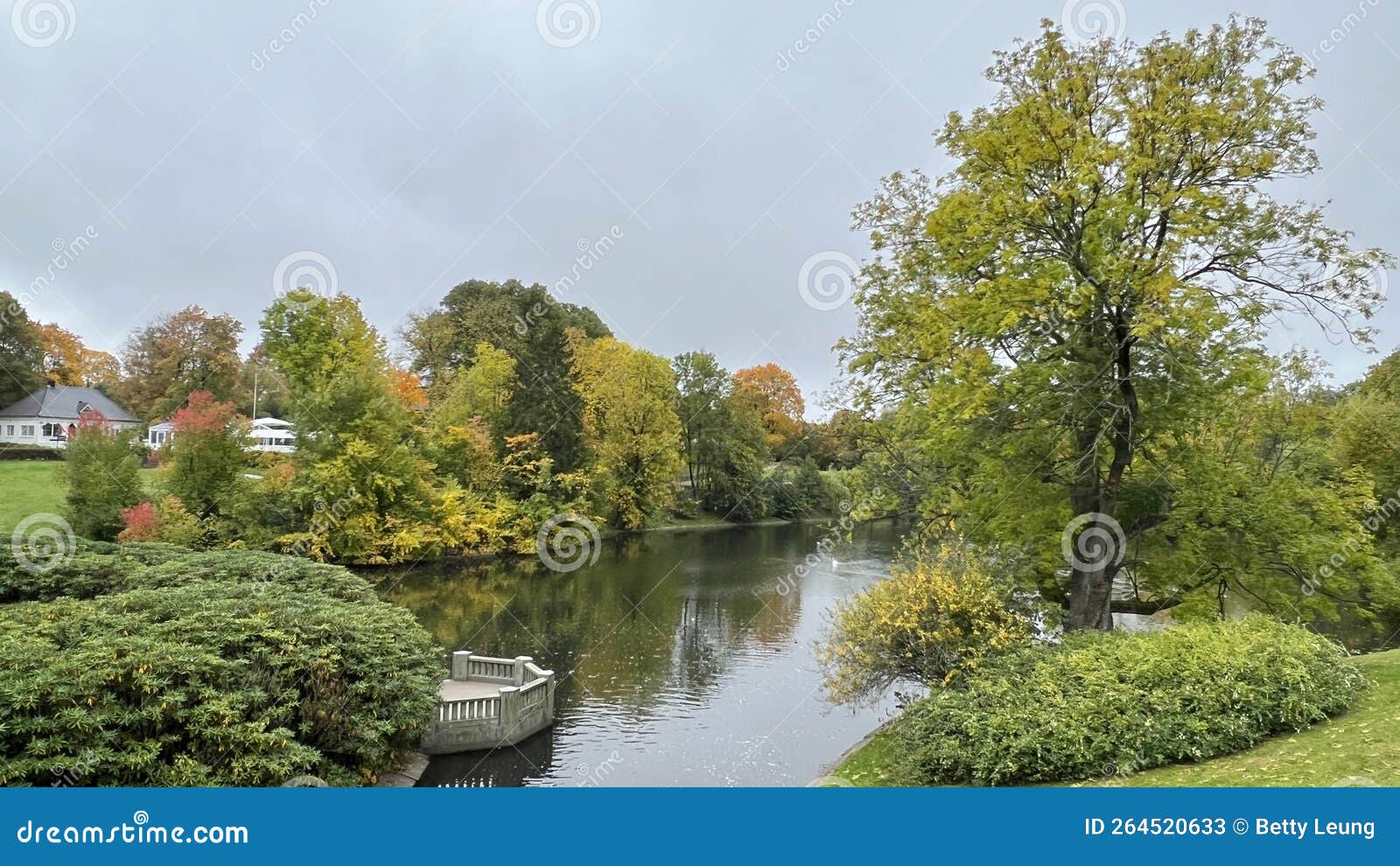 Beautiful Garden with Autumn Foliage and Pond in Oslo, Norway Stock ...