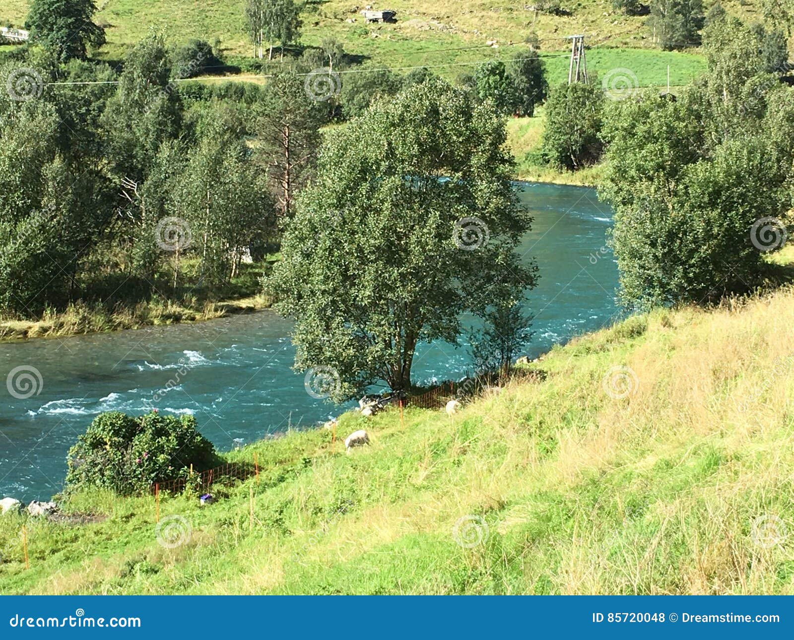 Norway River stock photo. Image of river, norway, side - 85720048
