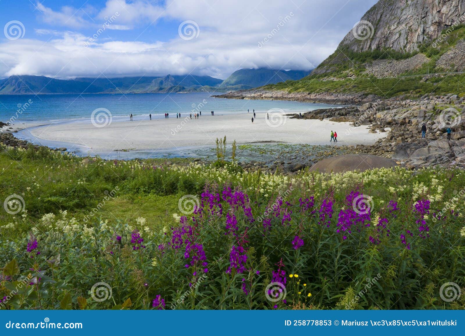 Norway stock image. Image of norge, stone, sand, rorvika - 258778853