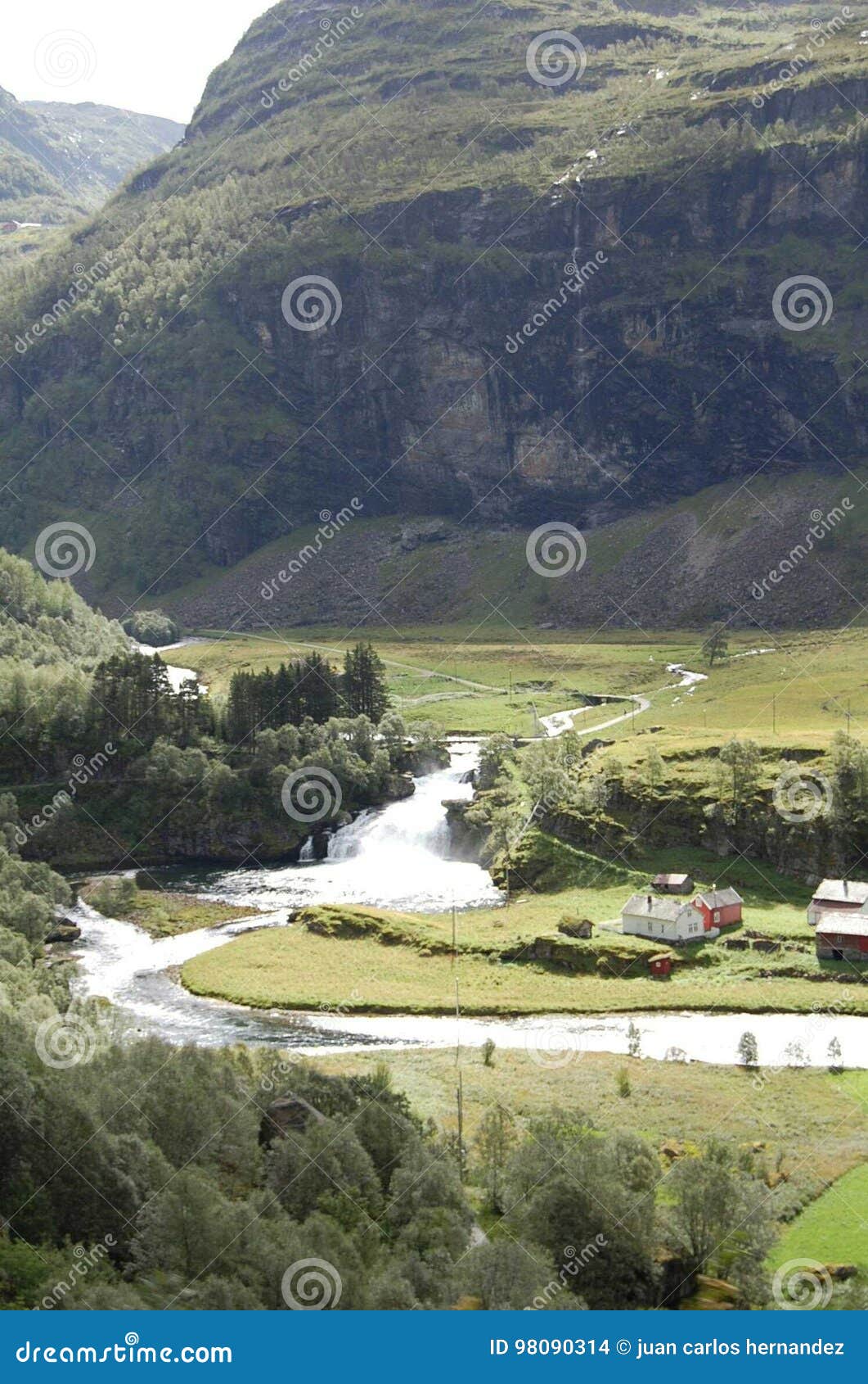 A norway valley stock photo. Image of tree, mountain - 98090314