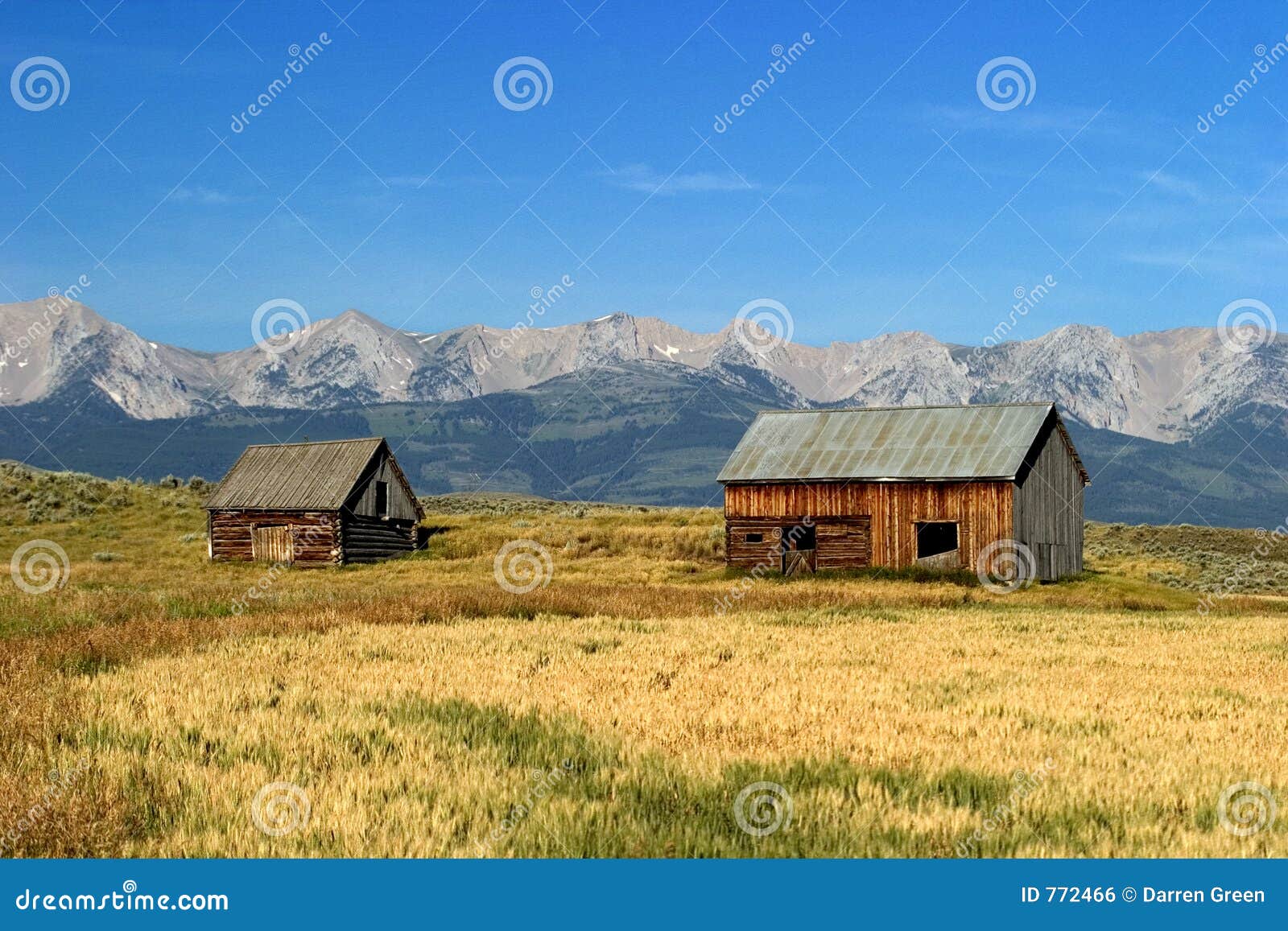 Norwegian 1700 S Style Barns in Montana Stock Photo - Image of montana ...