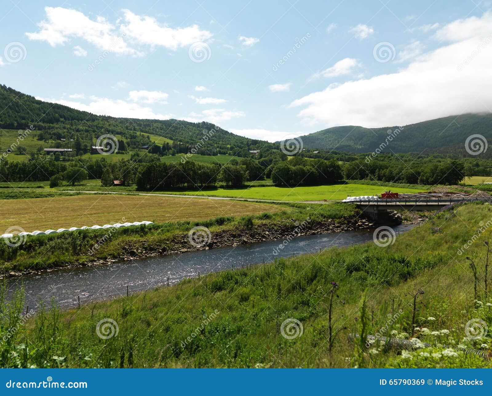 Norwegian Agriculture stock image. Image of farm, agriculture - 65790369