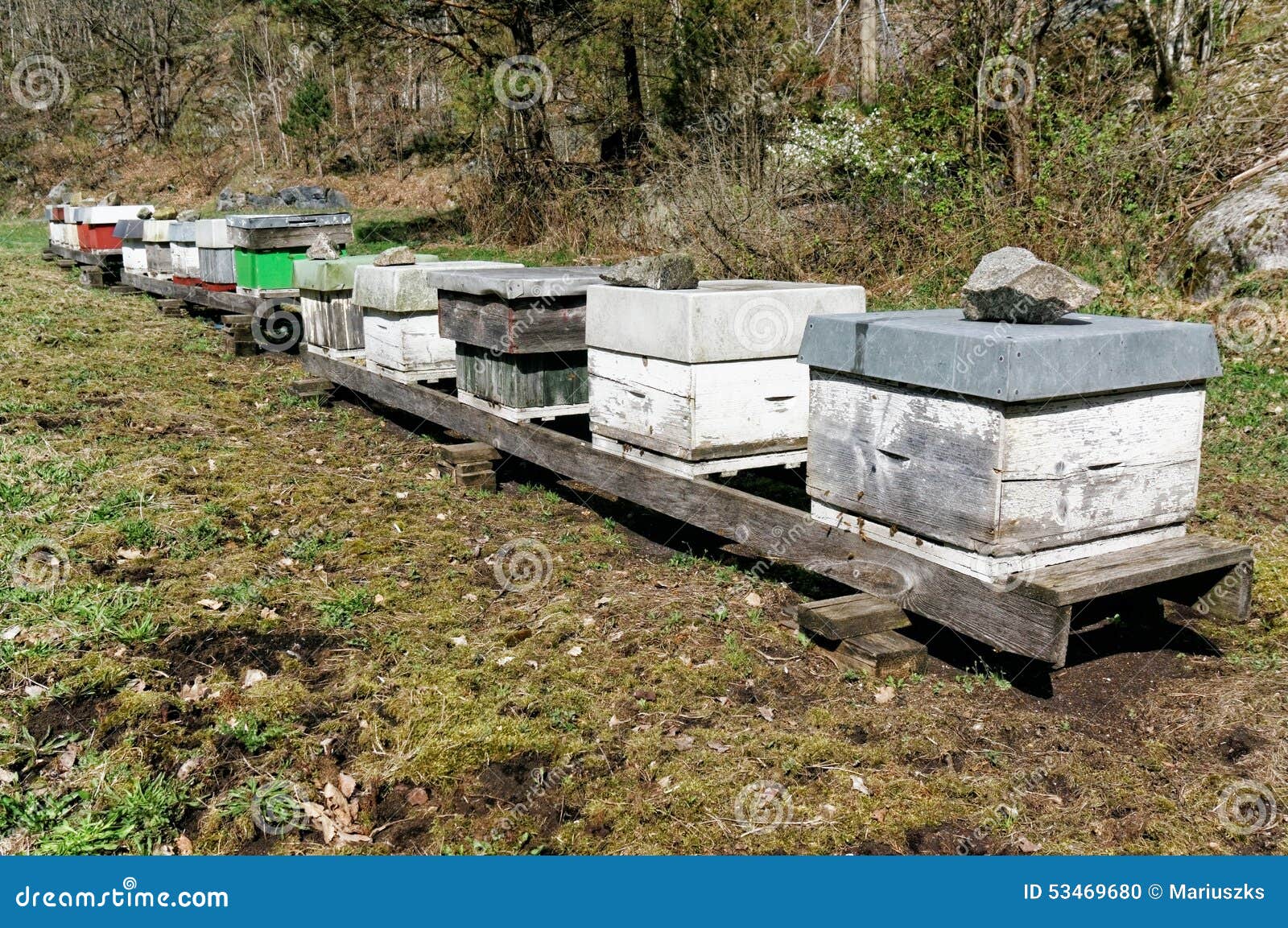 Norwegian Bee apiary stock photo. Image of roof, europe - 53469680