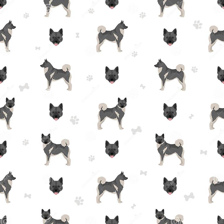 Norwegian Elkhound Seamless Pattern. Different Poses, Coat Colors Set ...