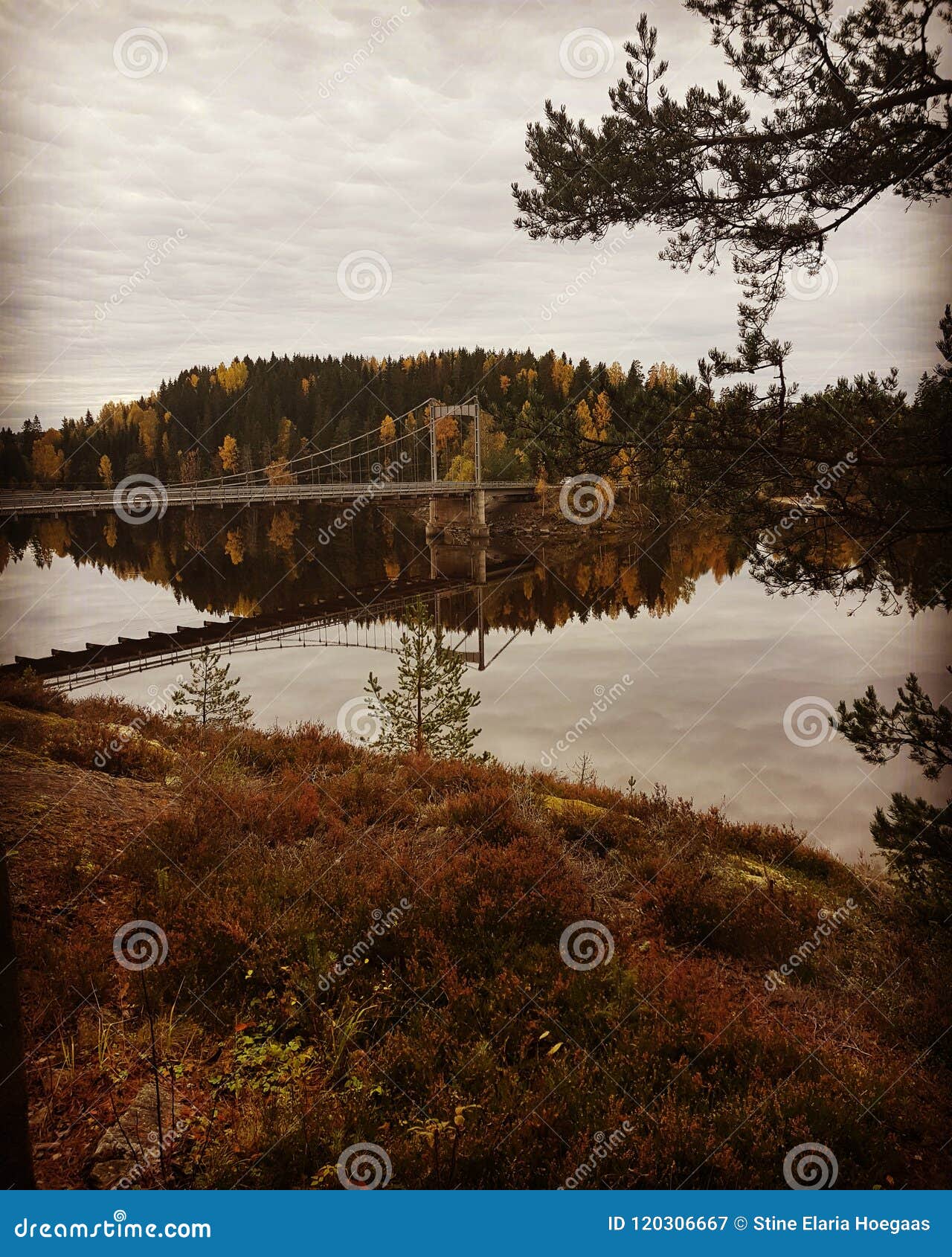 Norwegian fall stock image. Image of fall, nature, norwegian - 120306667