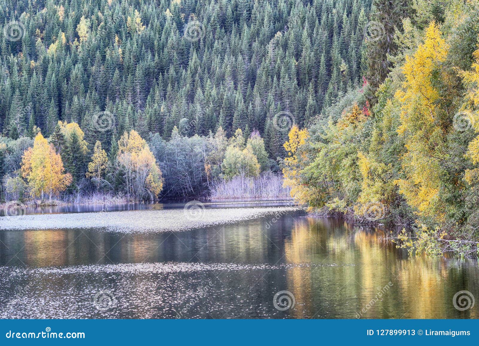Norwegian fall stock image. Image of lake, fall, mountain - 127899913