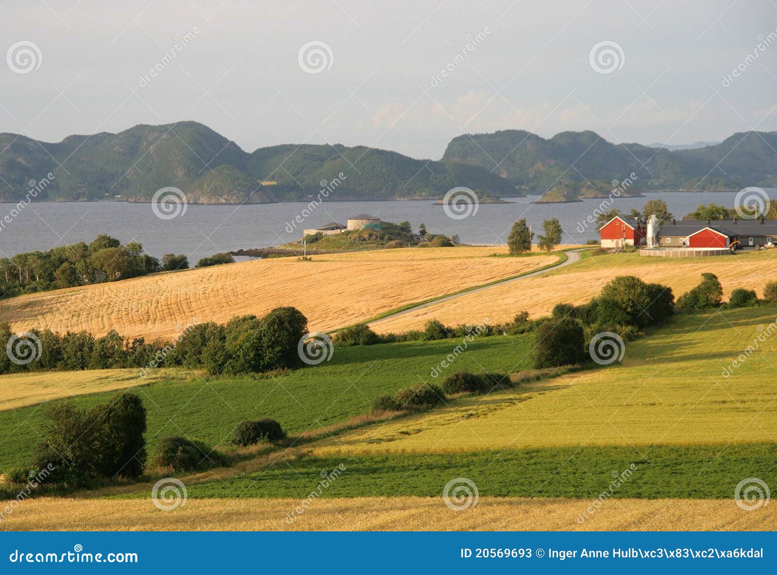 Norwegian farmland stock image. Image of fjord, grass - 20569693