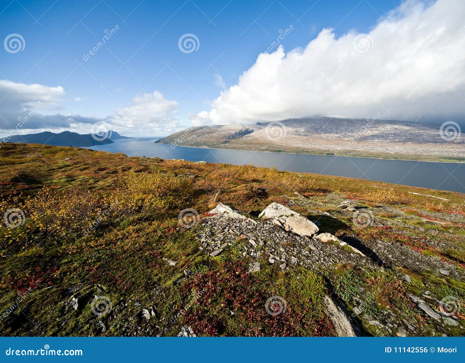 Norwegian landscape stock photo. Image of mountain, fjord - 11142556