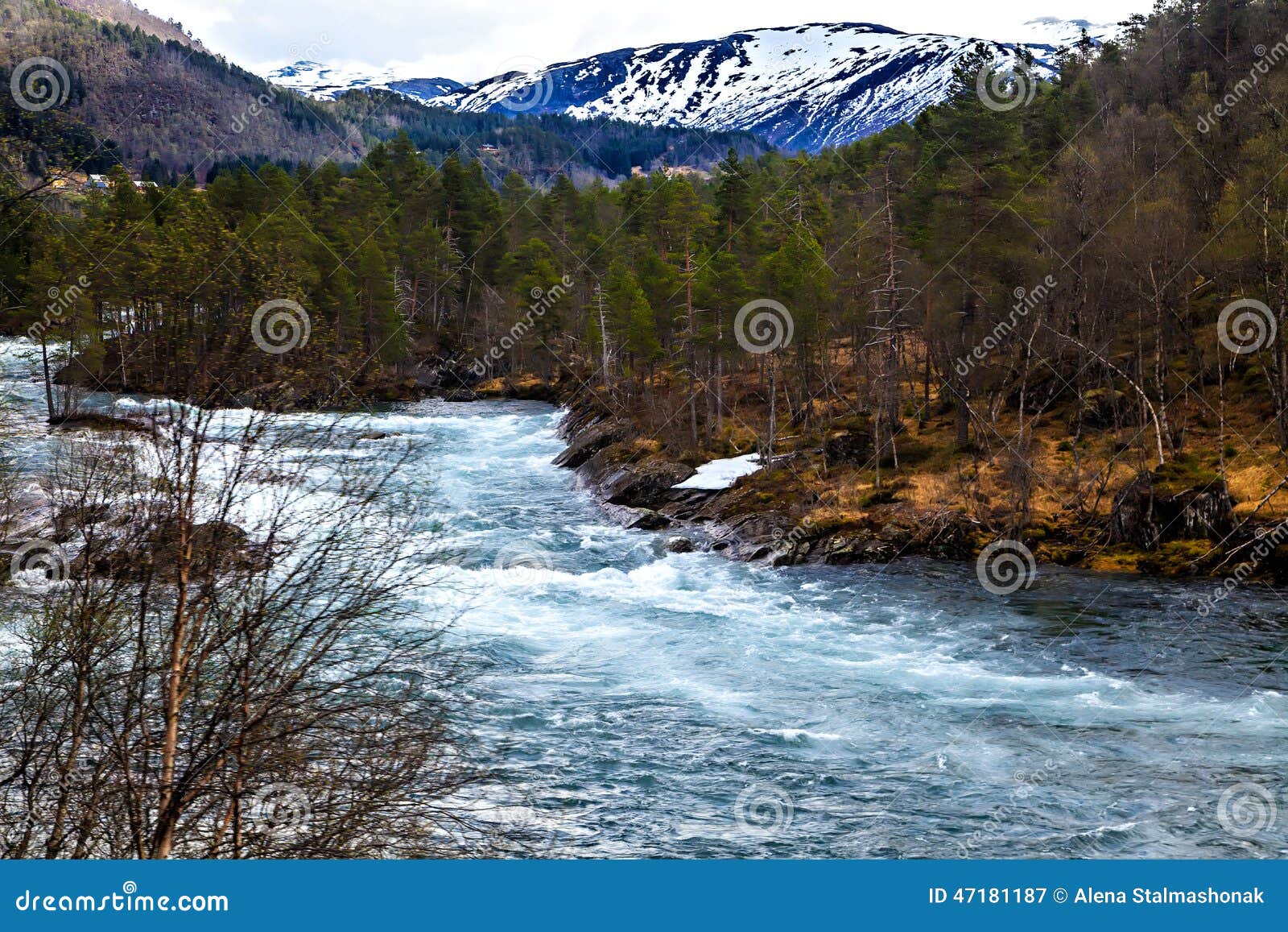 The Norwegian Landscape: River, Forest and Mountain Stock Image - Image ...