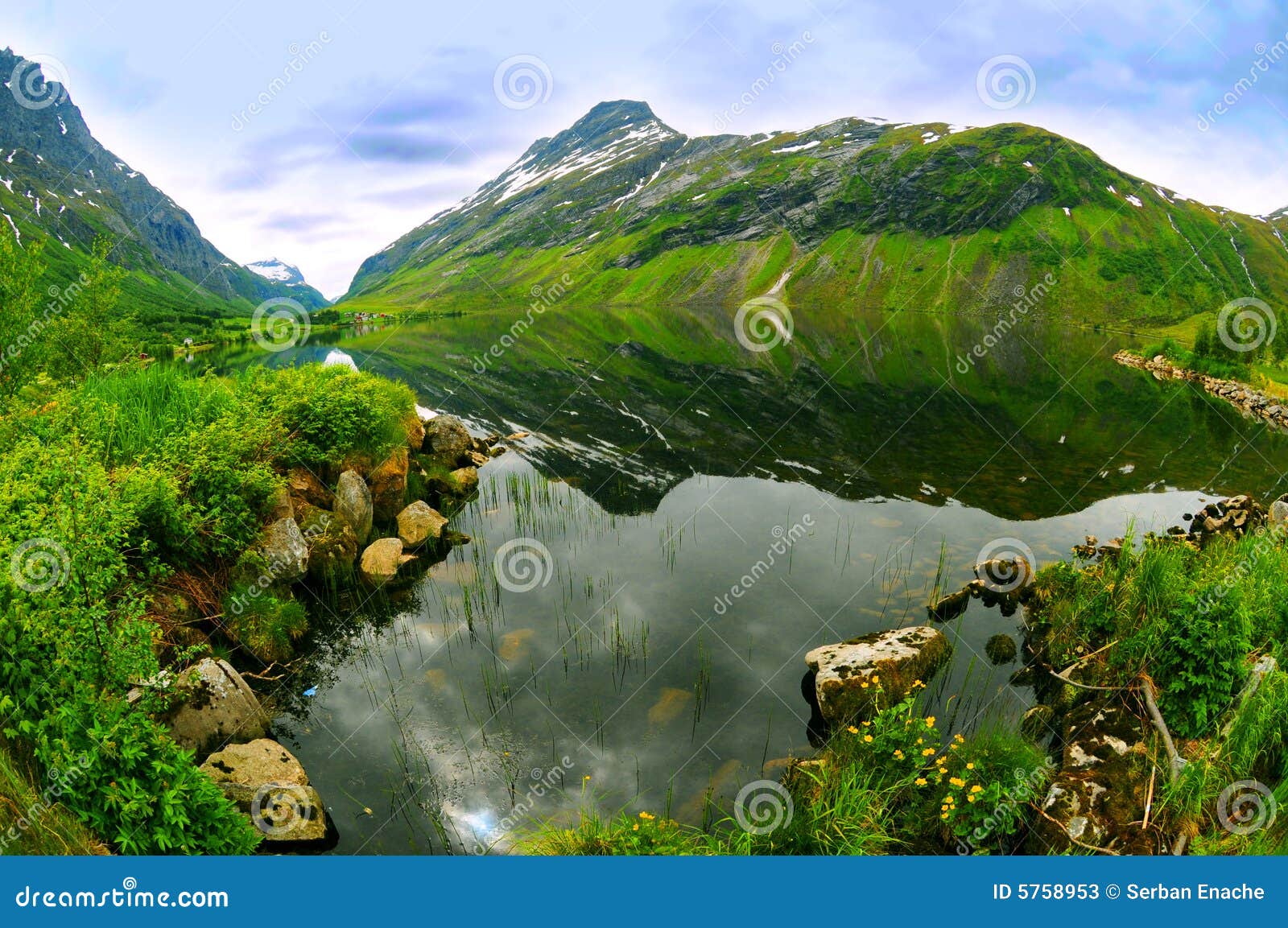 Norwegian mountain lake stock image. Image of beauty, grassy - 5758953