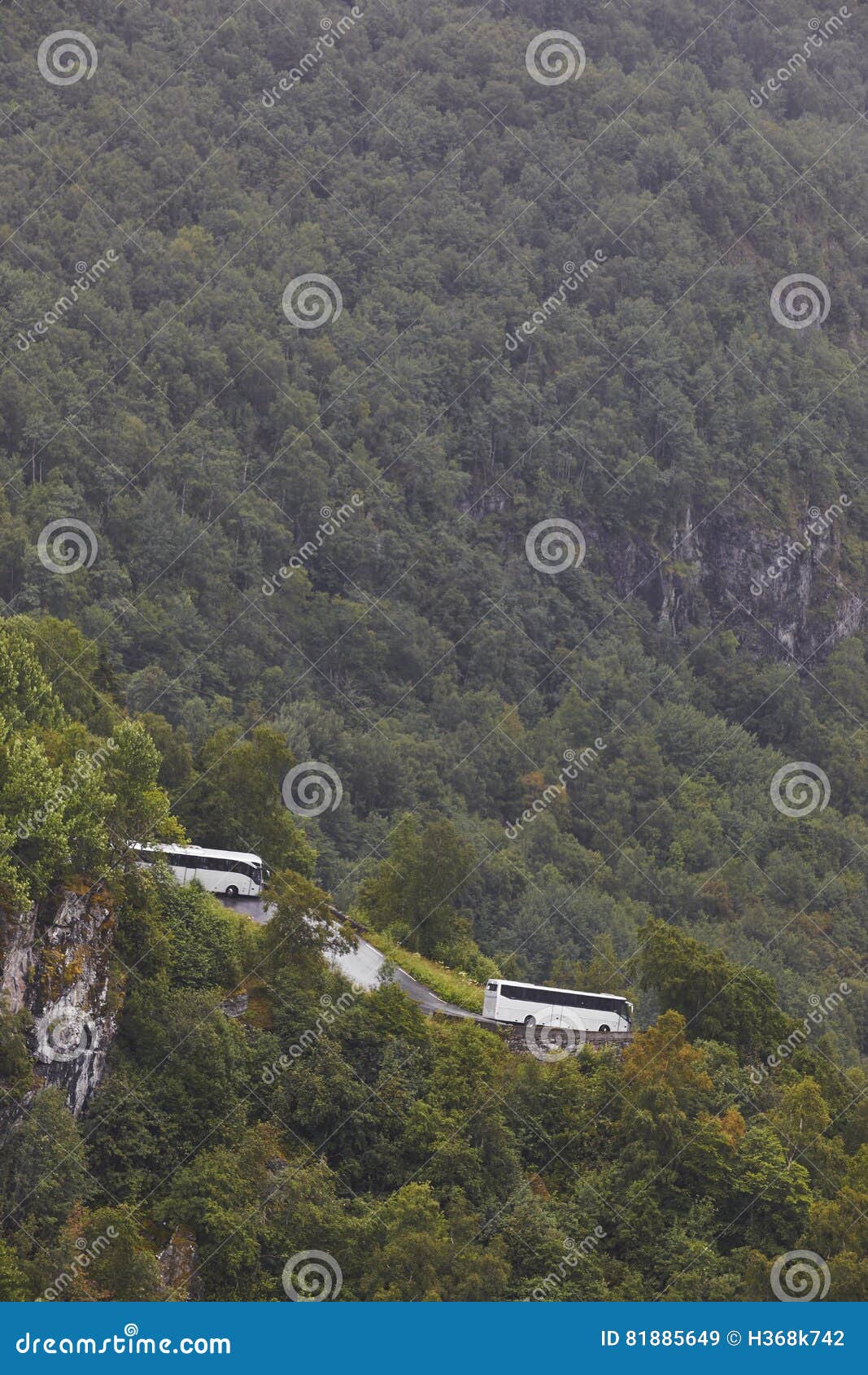 Norwegian Mountain Road with Buses. Stalheim Viewpoint. Norway Stock ...