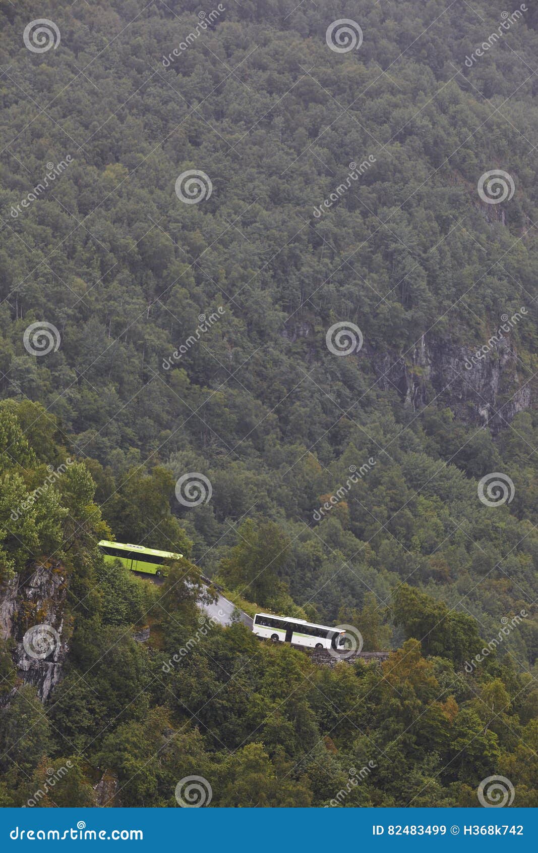 Norwegian Mountain Road with Buses. Stalheim Viewpoint. Norway Stock ...