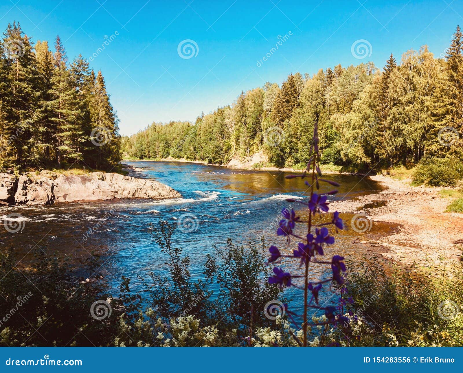 Norwegian river stock photo. Image of riverside, countryside - 154283556
