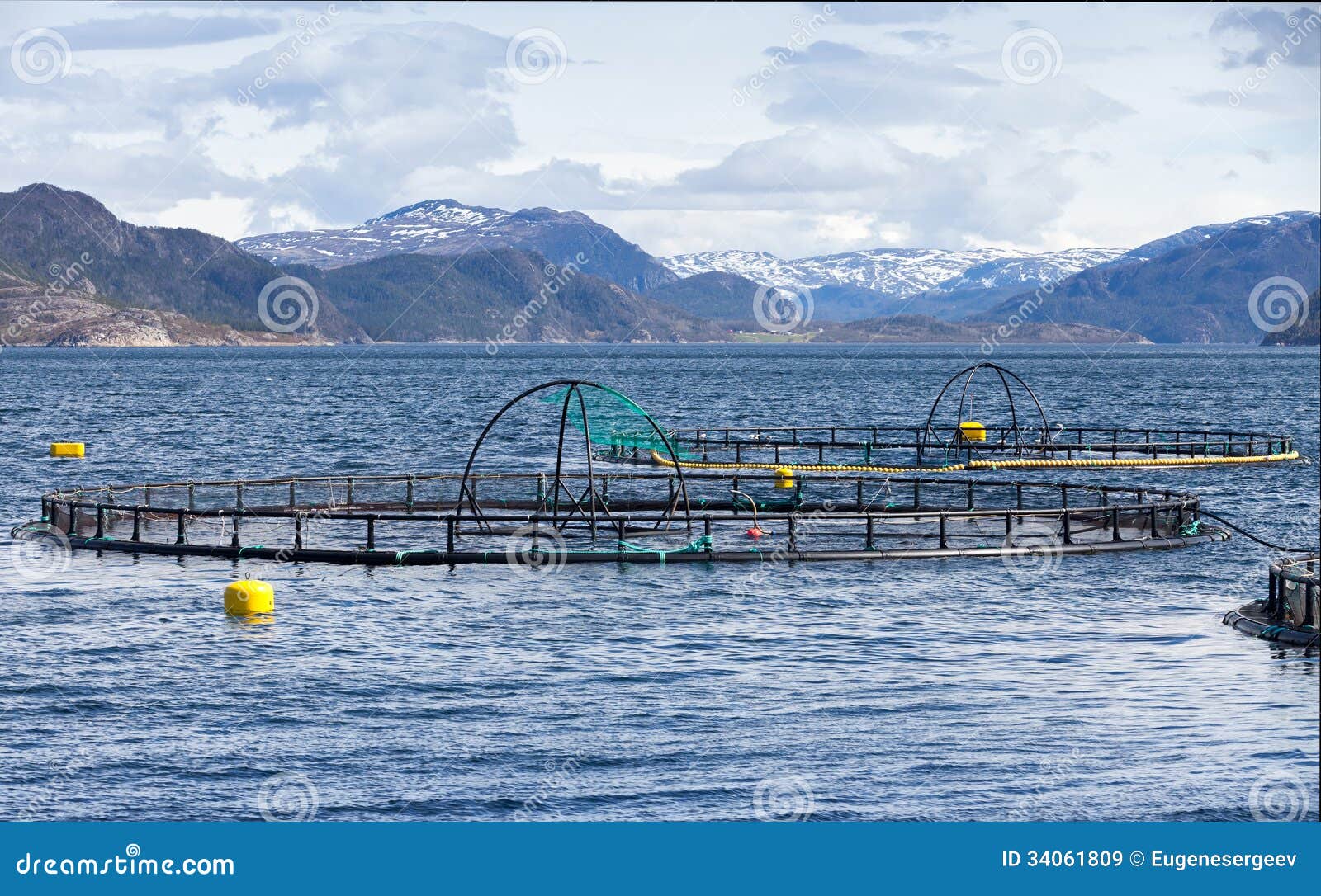 Norwegian salmon fish farm stock image. Image of farm - 34061809