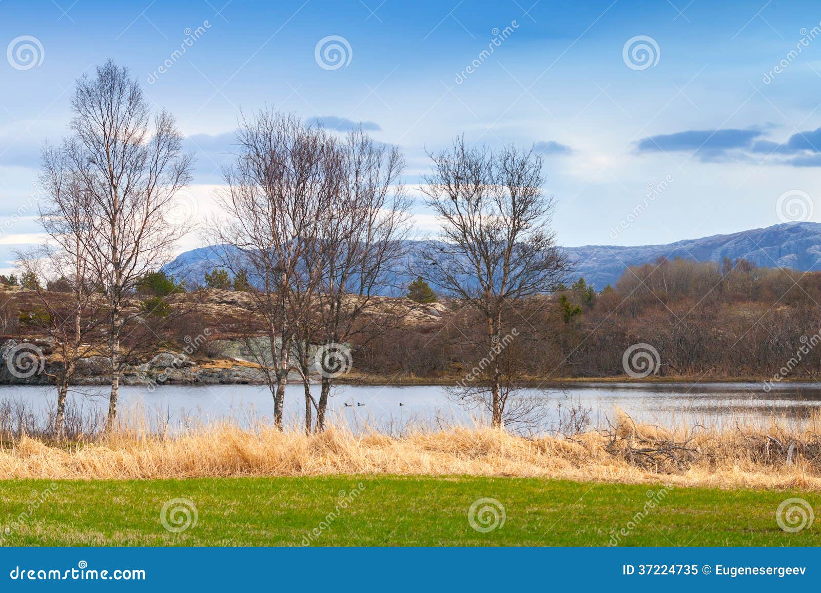 Norwegian spring landscape stock image. Image of landscape - 37224735